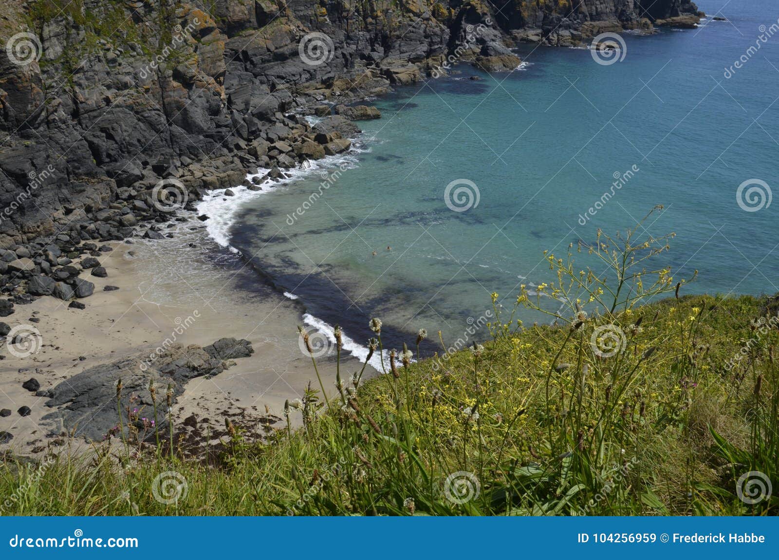 Housel Bay at the Lizard, Cornwall Stock Image - Image of view, summer ...