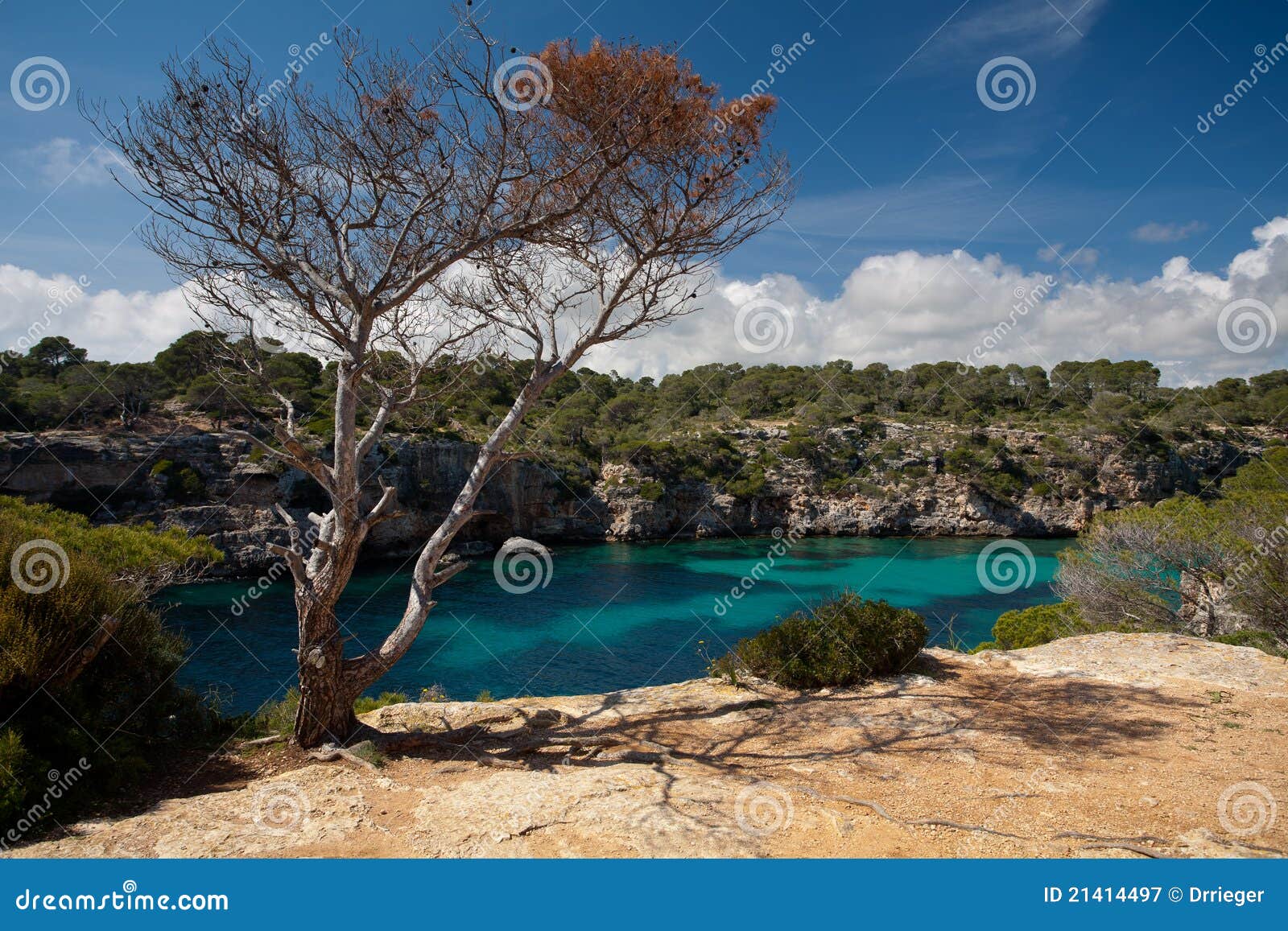 Turquoise Bay stock image. Image of clear, spare, holiday - 21414497