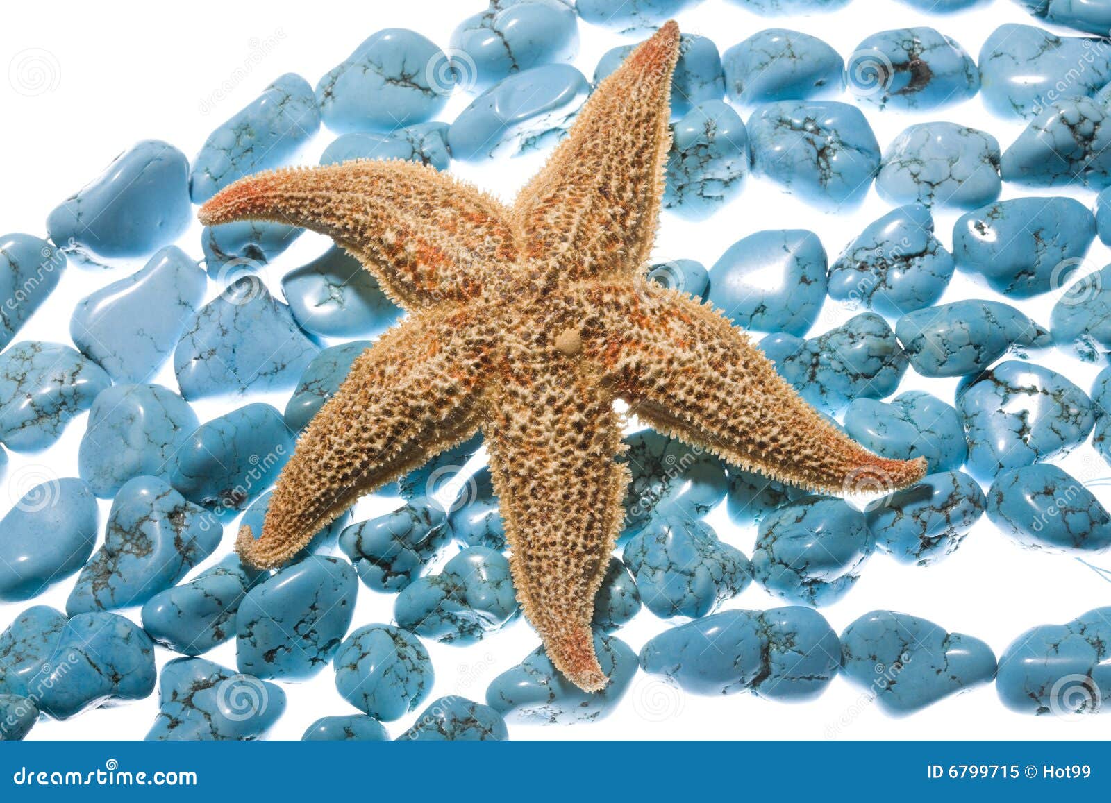 Turquoise Beads & Sea Star Stock Image - Image of beautiful, beaded ...