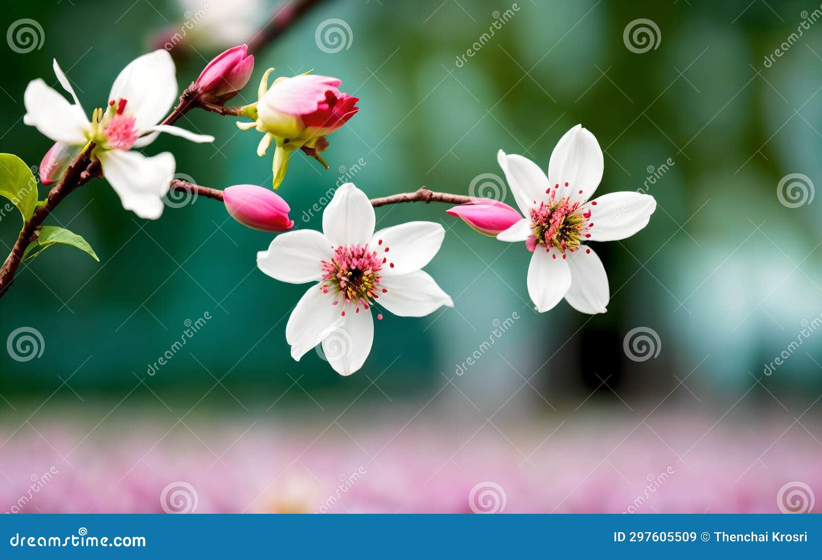 Turquoise Bloom Captivating Spring Petals Stock Illustration ...