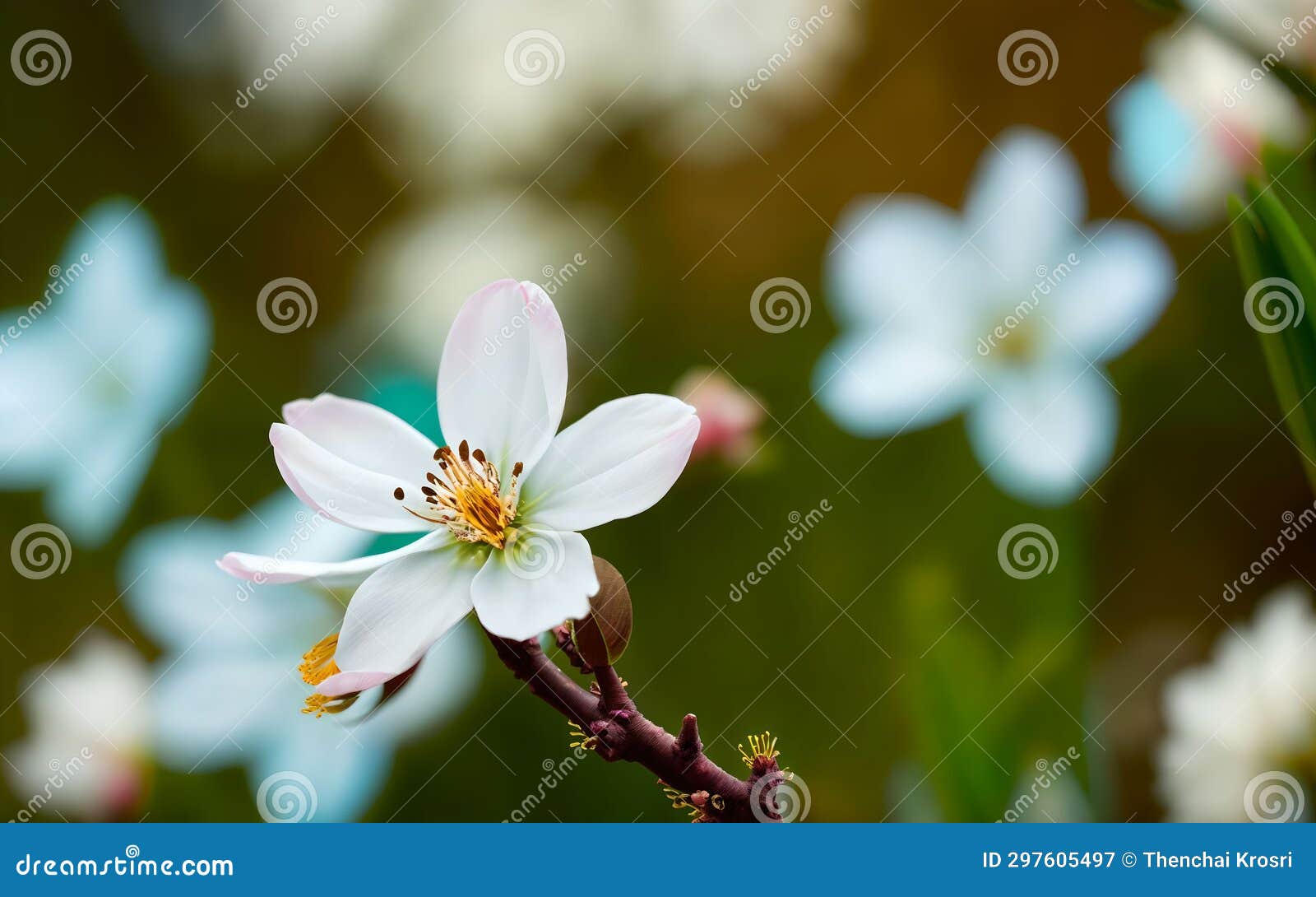 Turquoise Bloom Captivating Spring Petals Stock Illustration ...