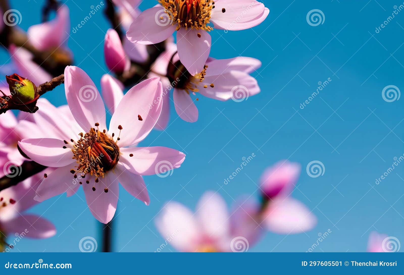 Turquoise Bloom Captivating Spring Petals Stock Illustration ...