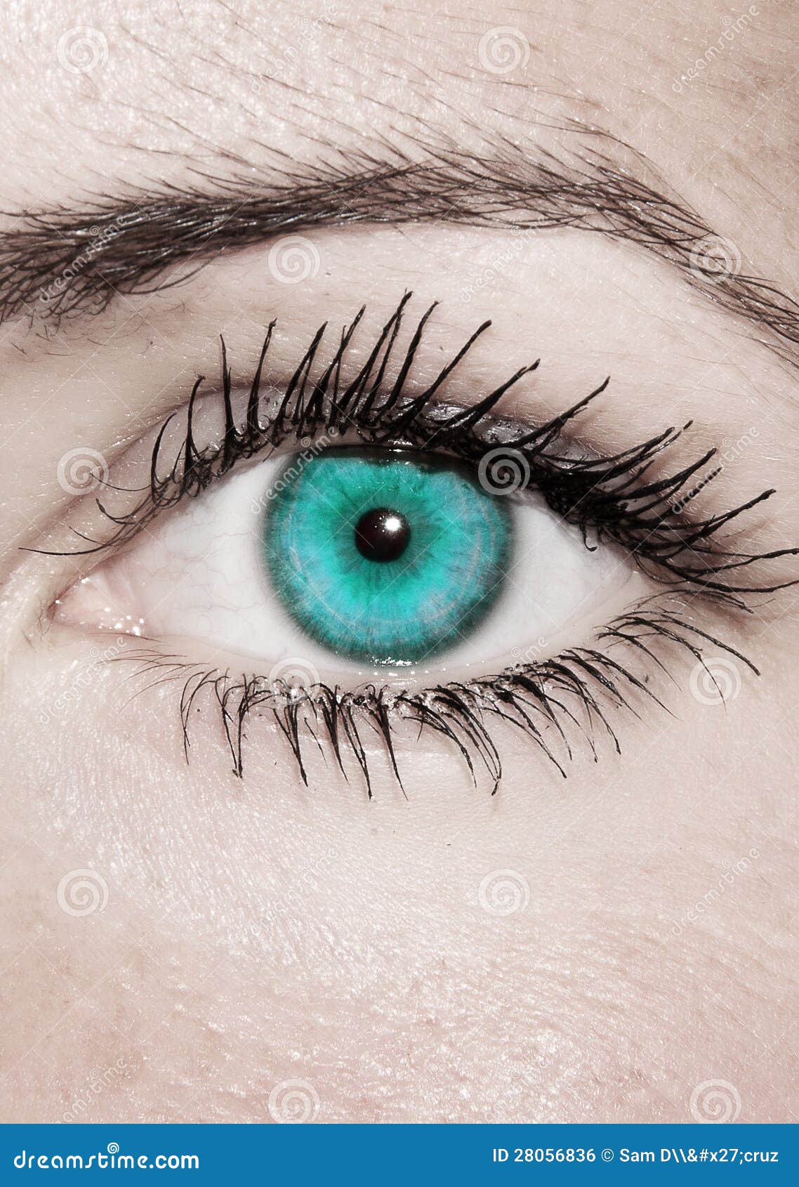 Turquoise Eye - Beautiful, Feminine Stock Photo - Image of contact ...