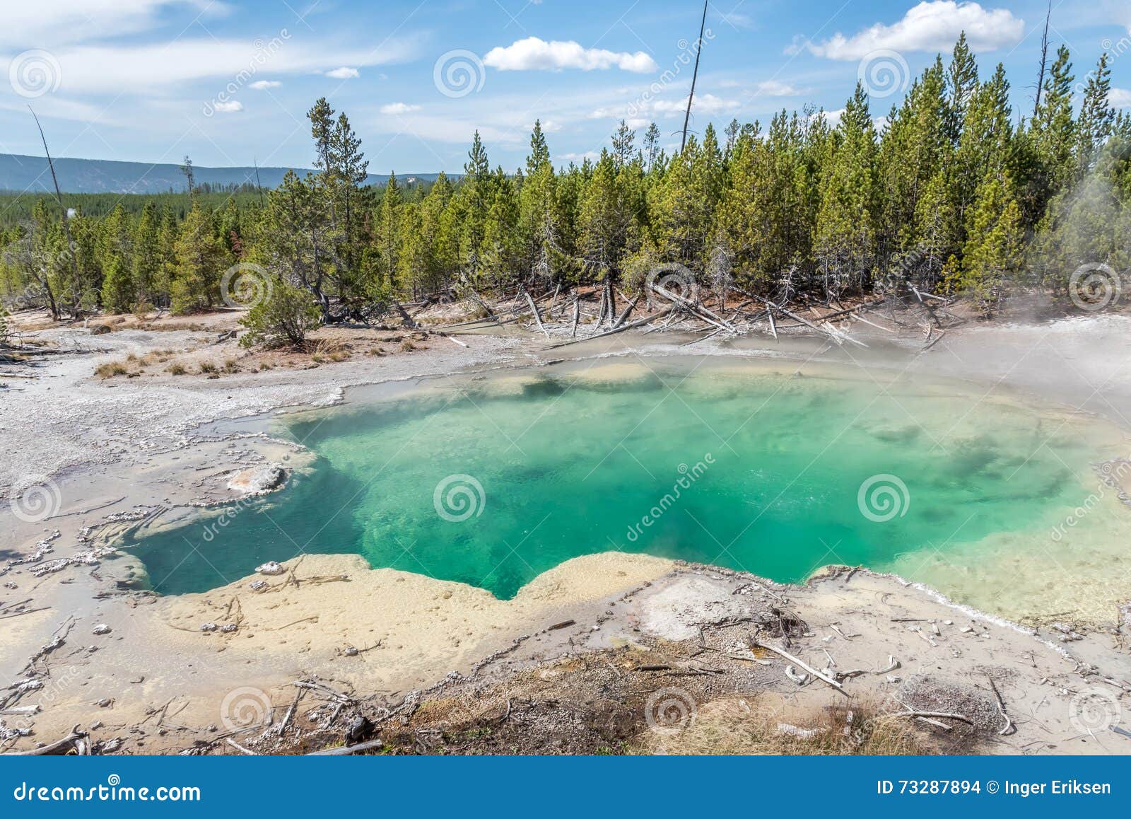 A Turquoise Hot Spring in Yellowstone National Park Stock Photo - Image ...