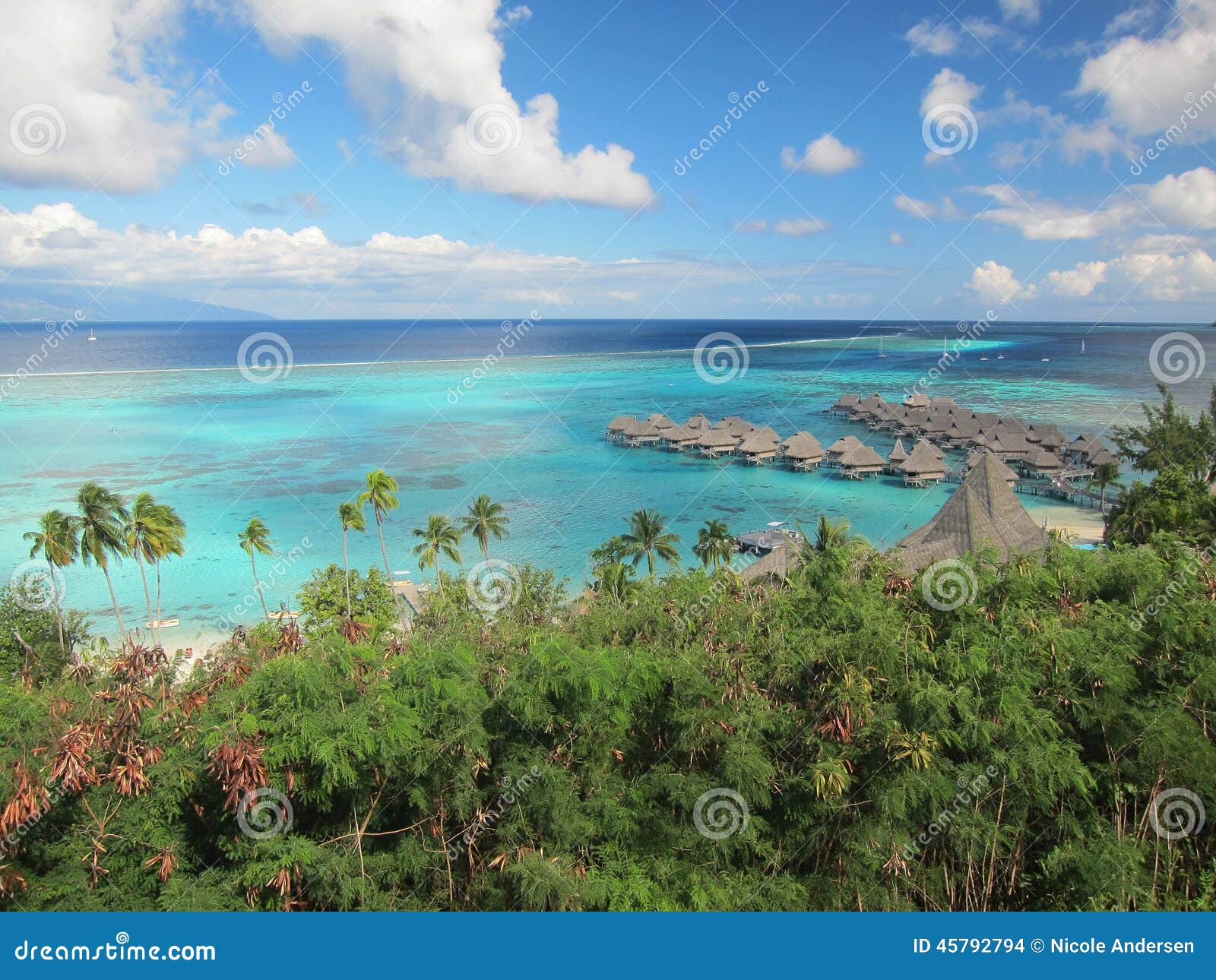 Turquoise lagoon in moorea stock photo. Image of green - 45792794