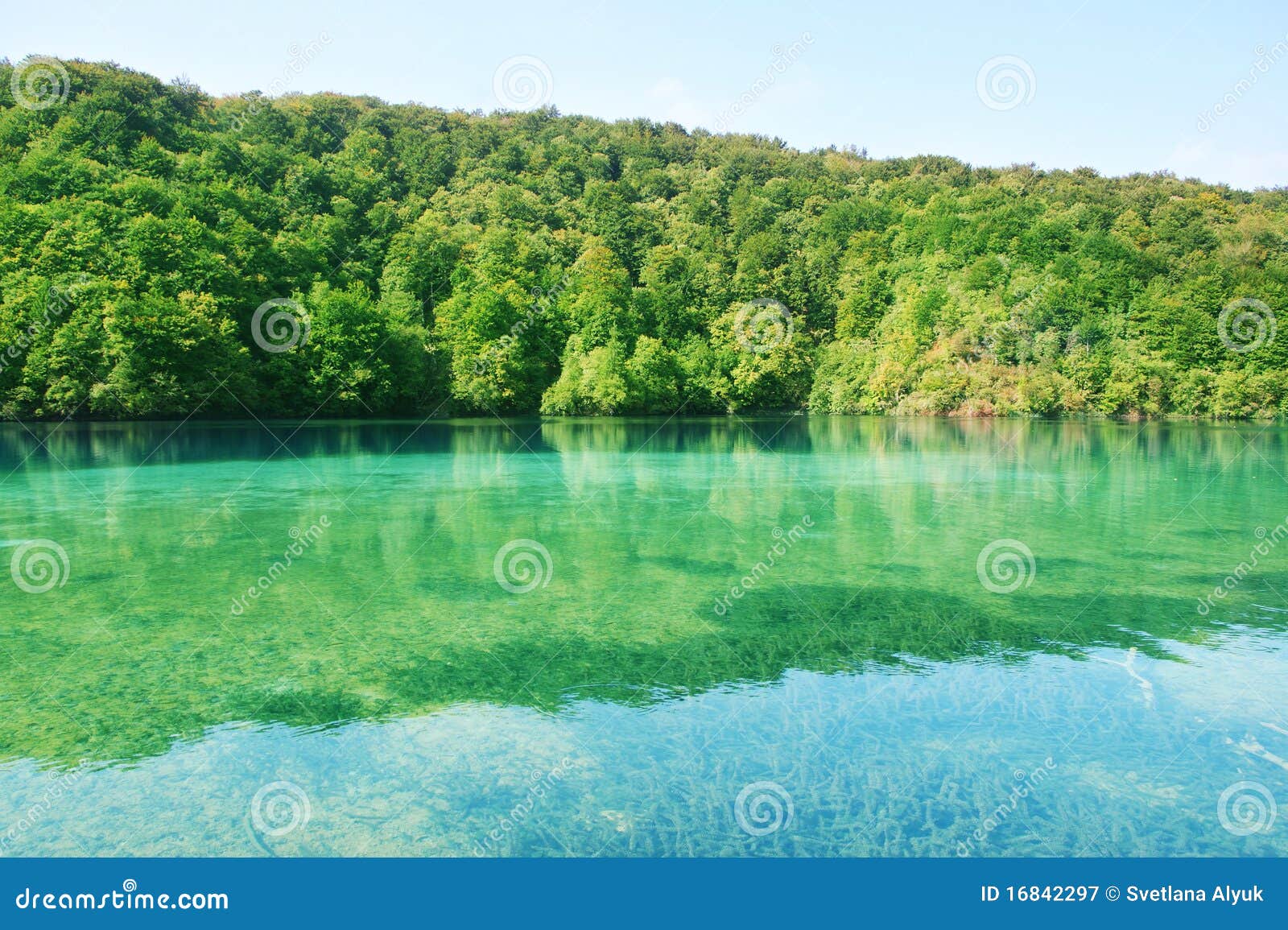 Turquoise lake stock image. Image of rocks, tree, shore - 16842297