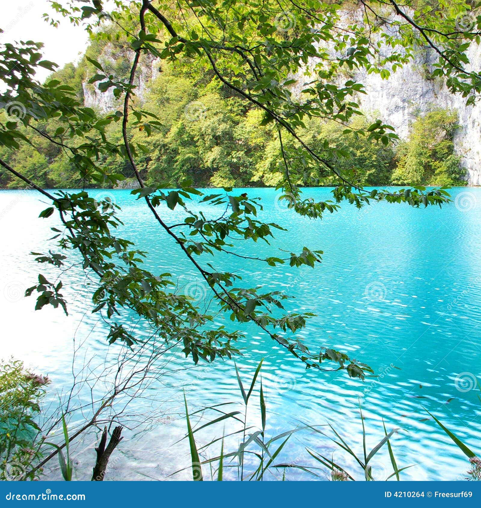 Turquoise lake stock photo. Image of croatia, protection - 4210264