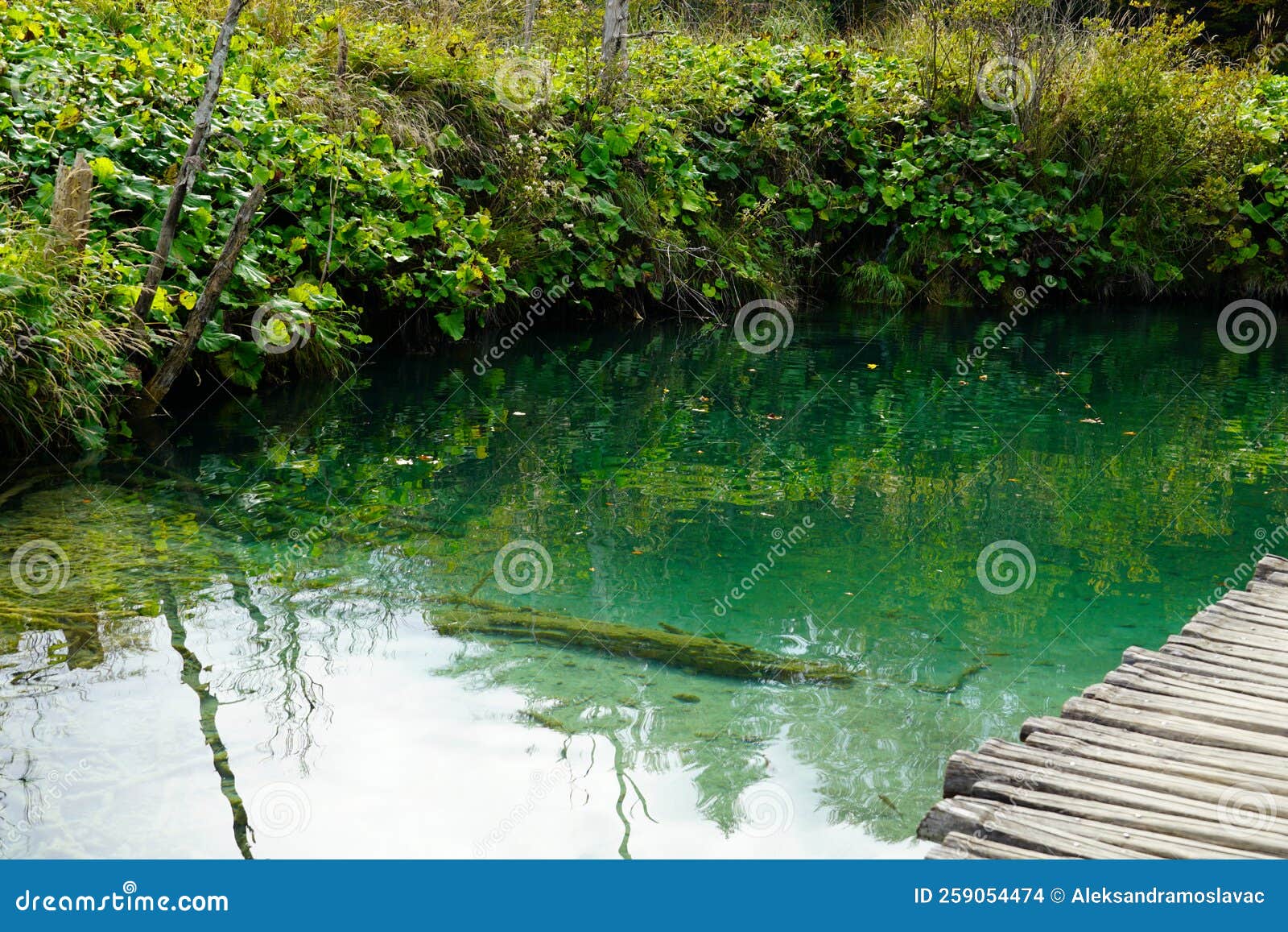 A Turquoise Lake in a Peaceful Forest Environment Stock Photo - Image ...