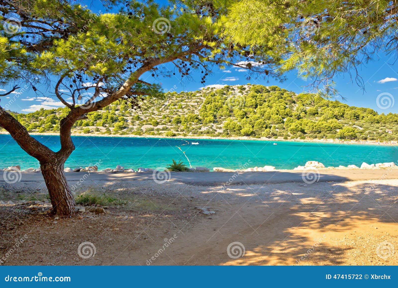 Turquoise Pine Tree Beach of Croatia Stock Photo - Image of sand ...
