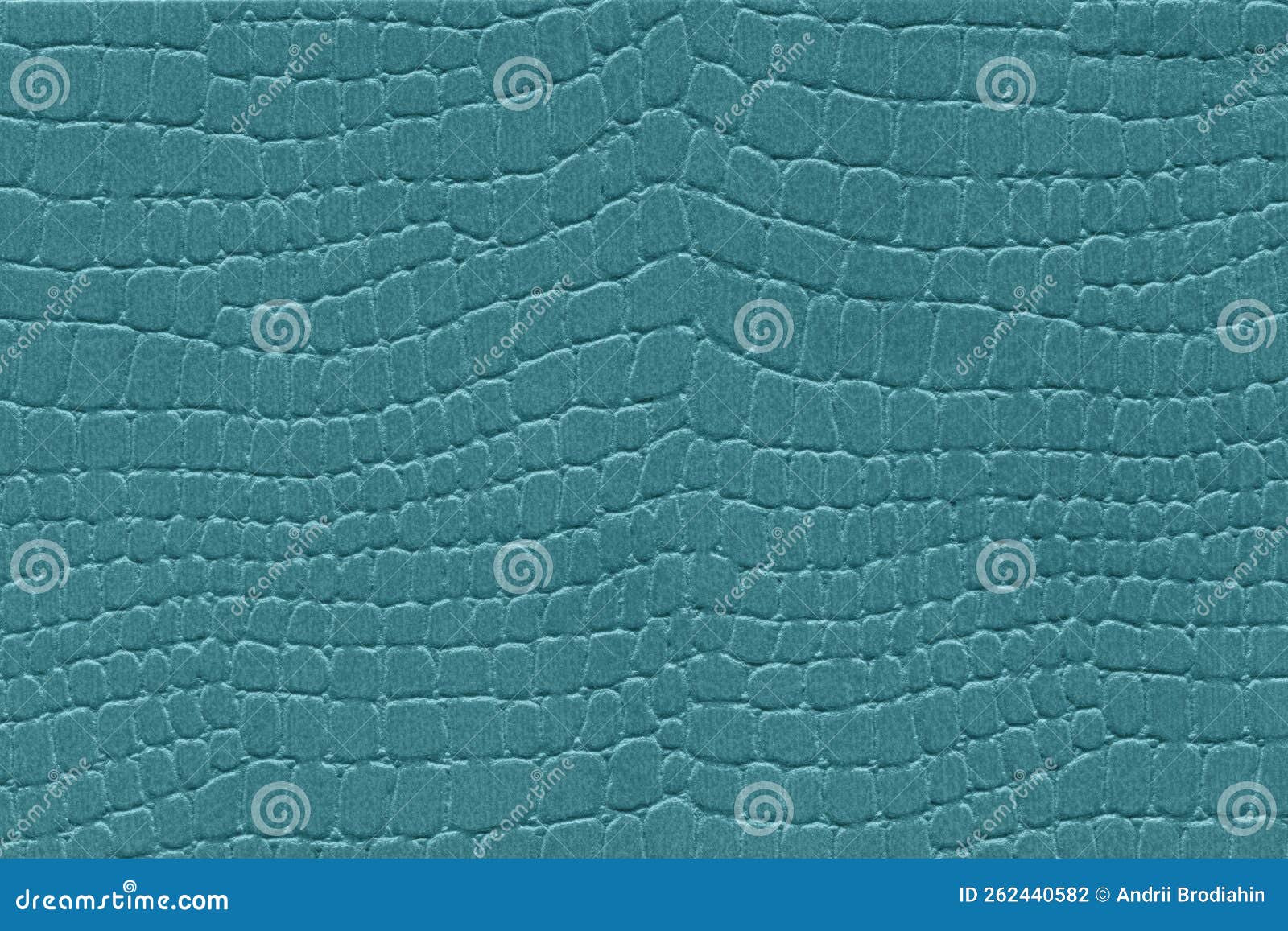 Turquoise Reptile Skin. Crocodile Leather Texture Background Stock ...
