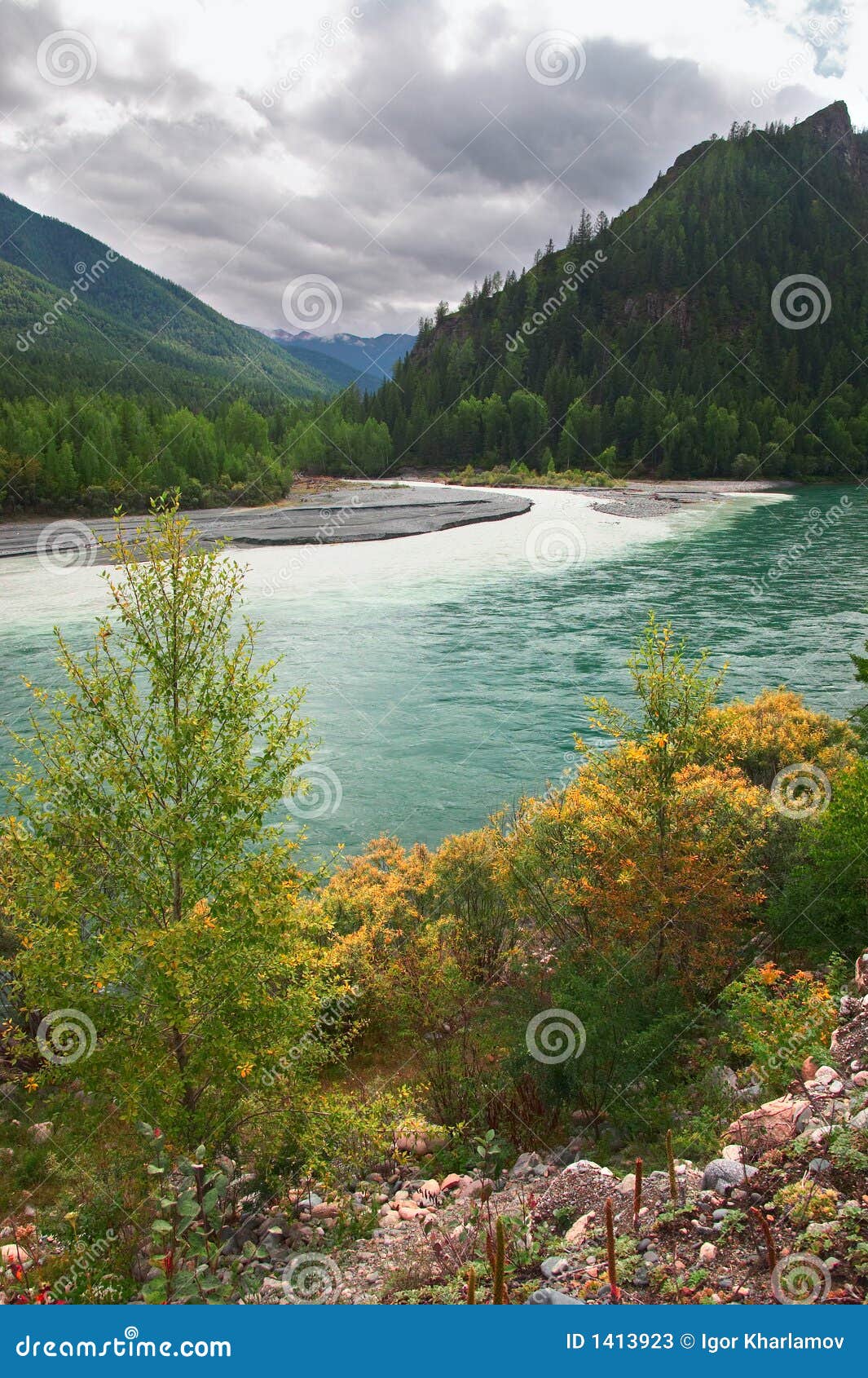 Turquoise River and Mountains. Stock Image - Image of forest ...