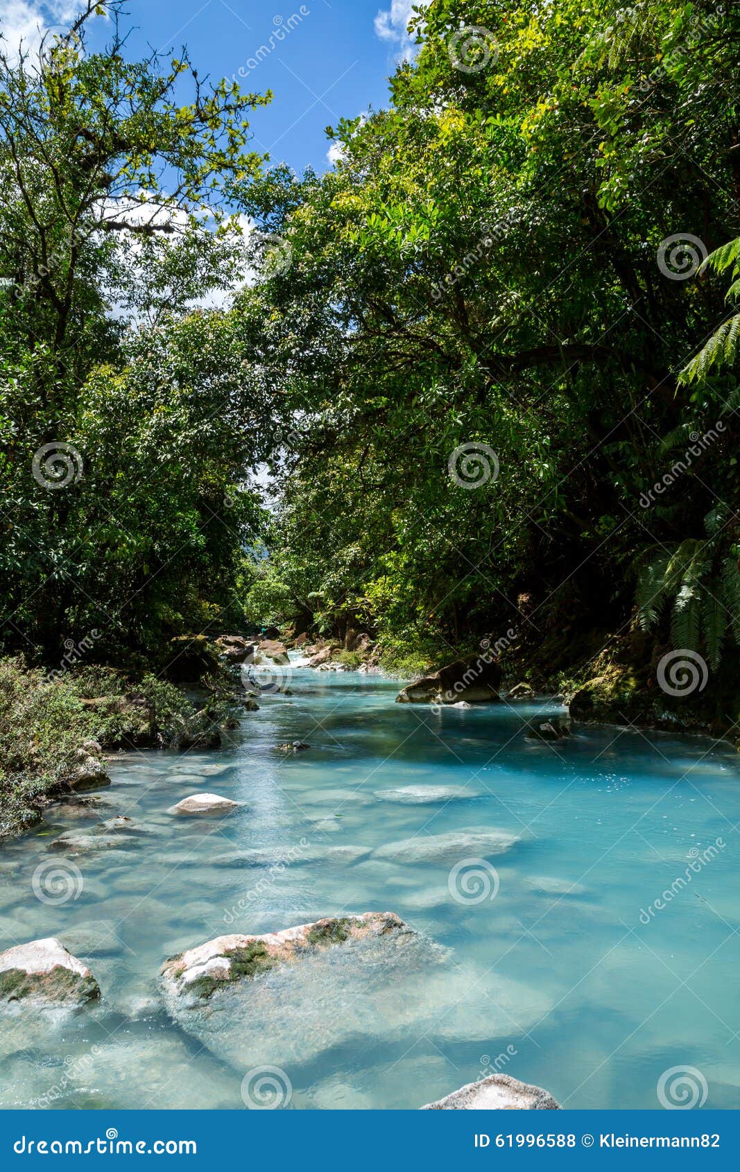 The Turquoise River Rio Celeste Stock Photo - Image of scenery, leaves ...