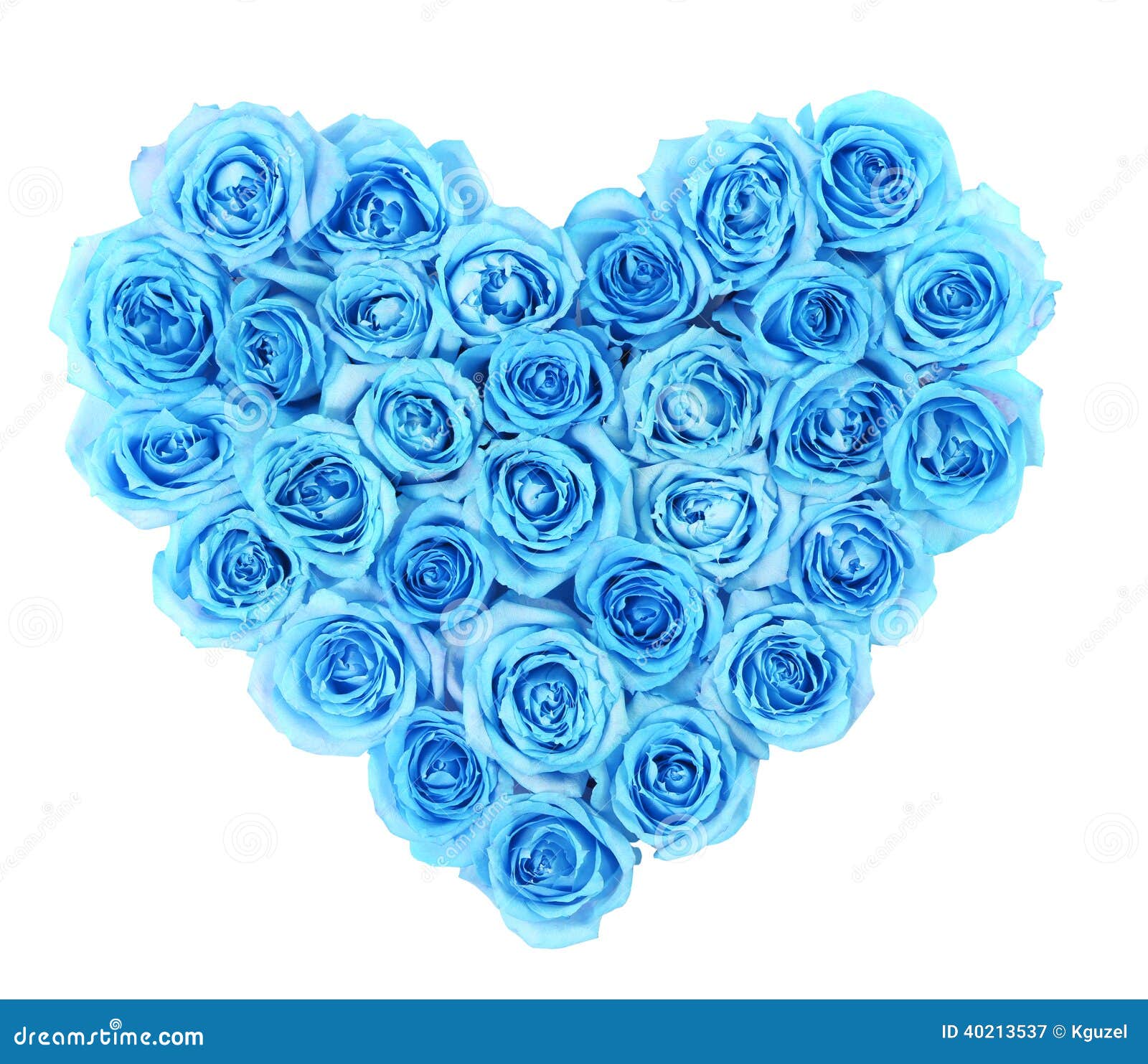 Turquoise Roses in Heart Shape Isolated Stock Image - Image of love ...