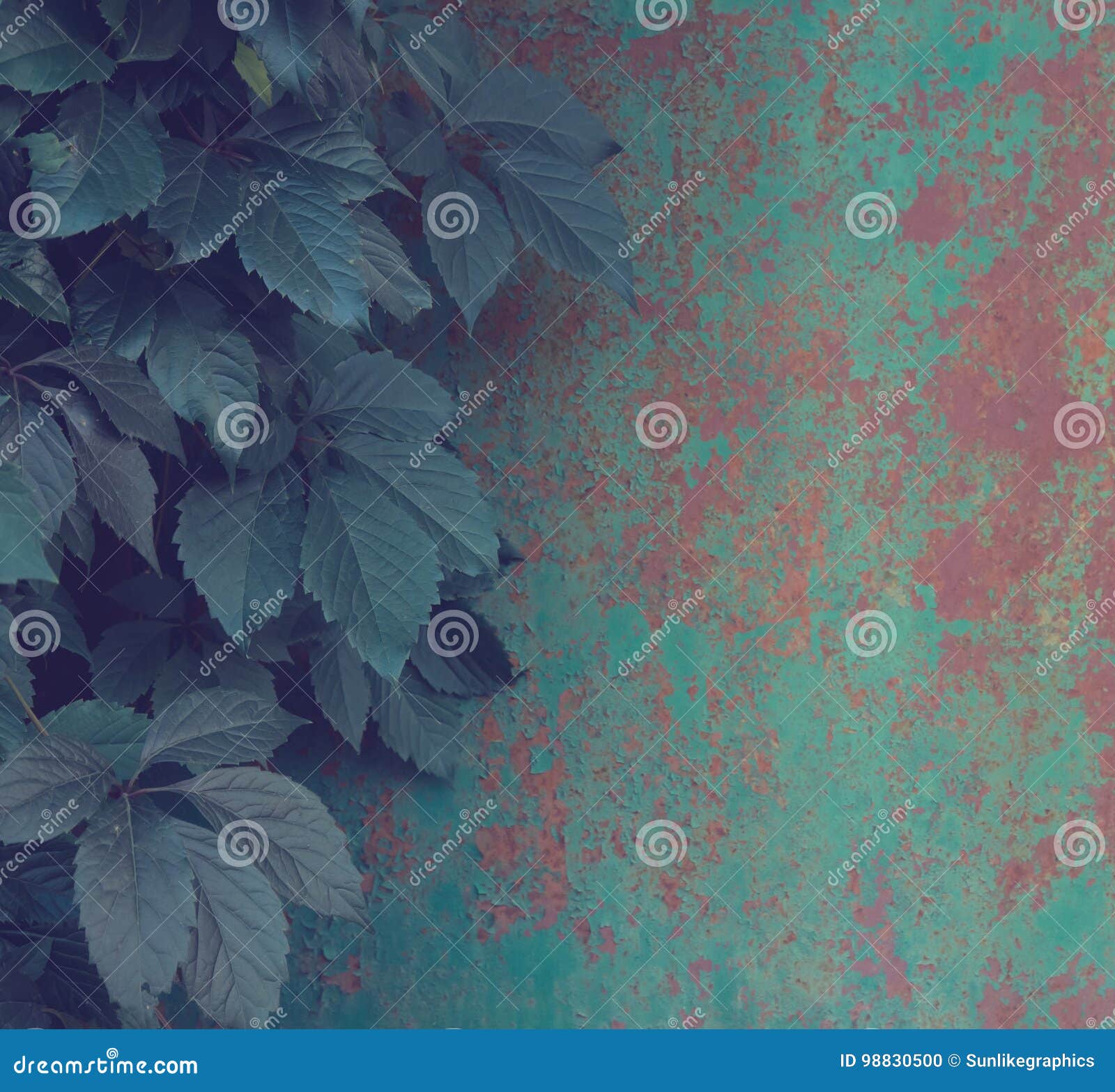 Turquoise Rusty Grunge Metal Texture. Photo Background. Stock Photo ...