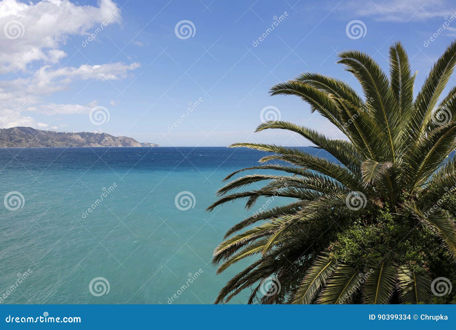 Turquoise Sea and Palm Tree Stock Photo - Image of destination ...