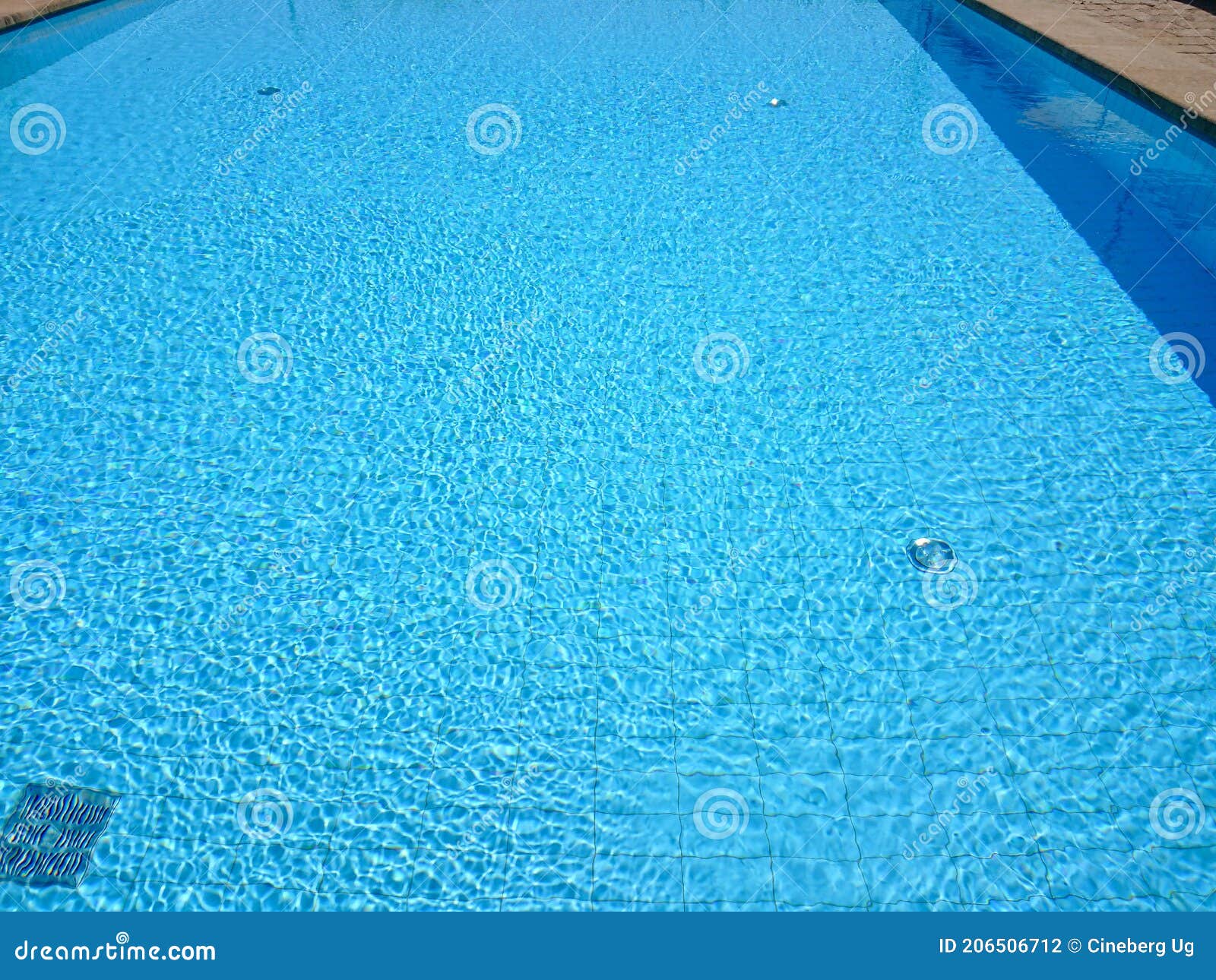 Empty swimming pool stock photo. Image of holidays, reflection - 206506712