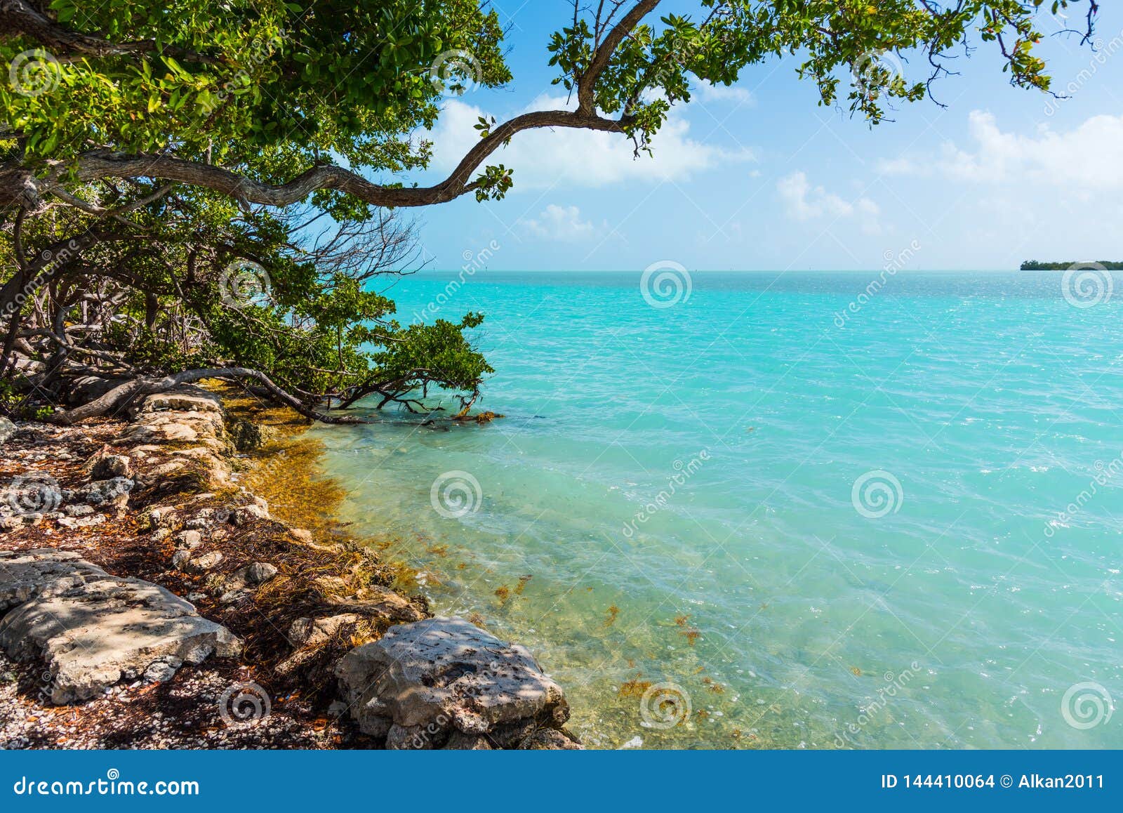 Turquoise Water in Florida Keys Shore Stock Photo - Image of america ...
