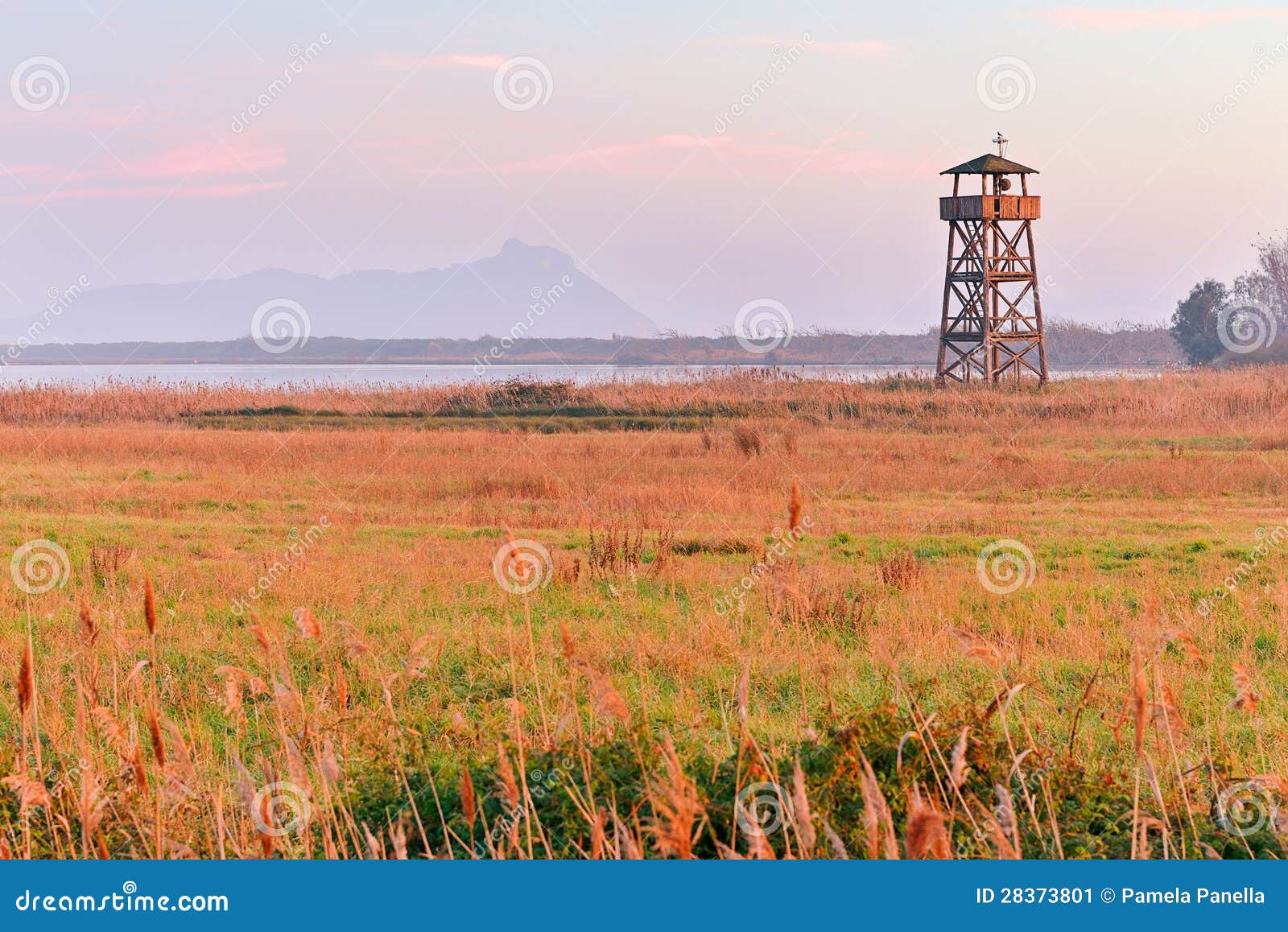 Turret stock image. Image of green, farm, home, little - 28373801