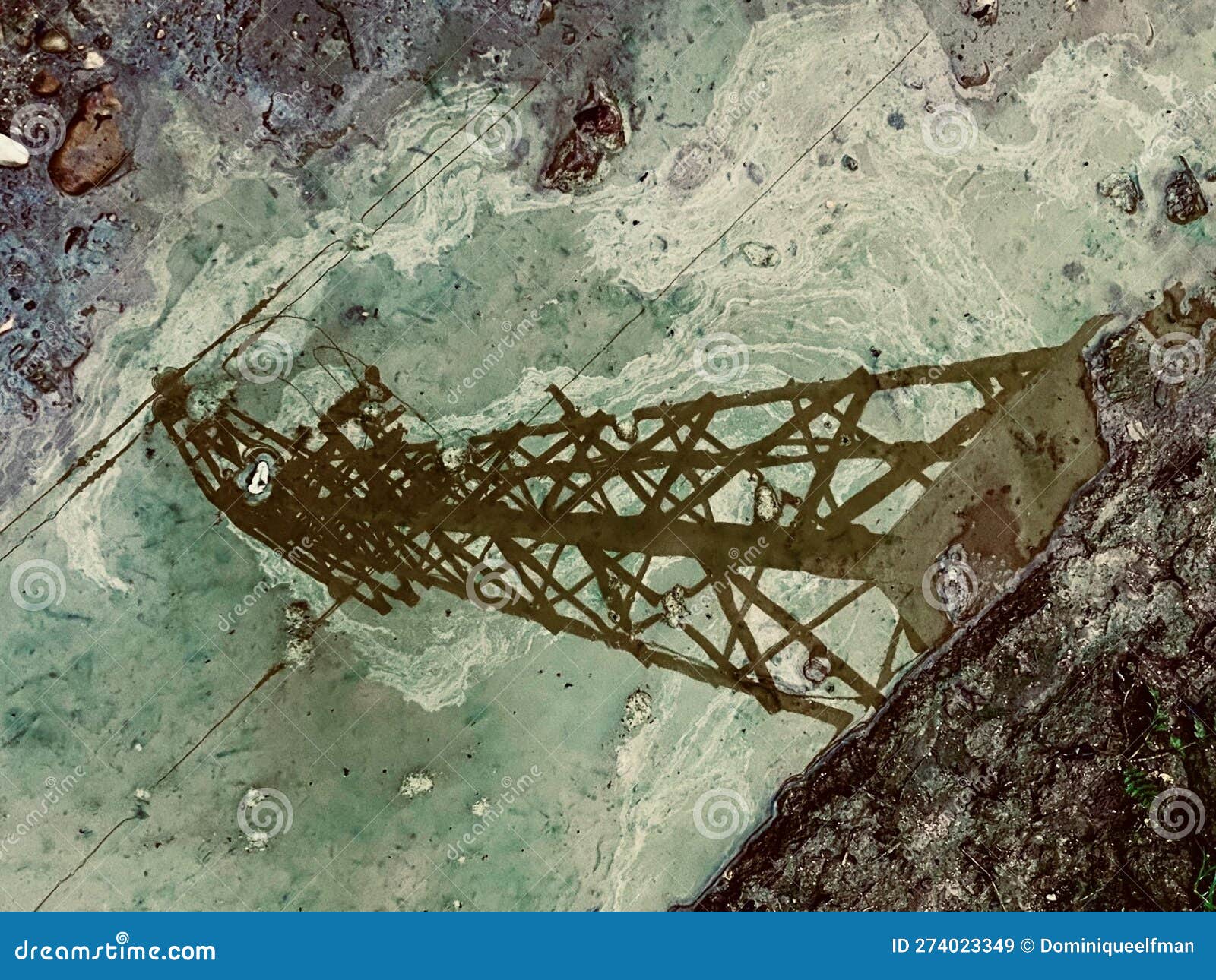 Turret in a puddle stock image. Image of formation, tree - 274023349