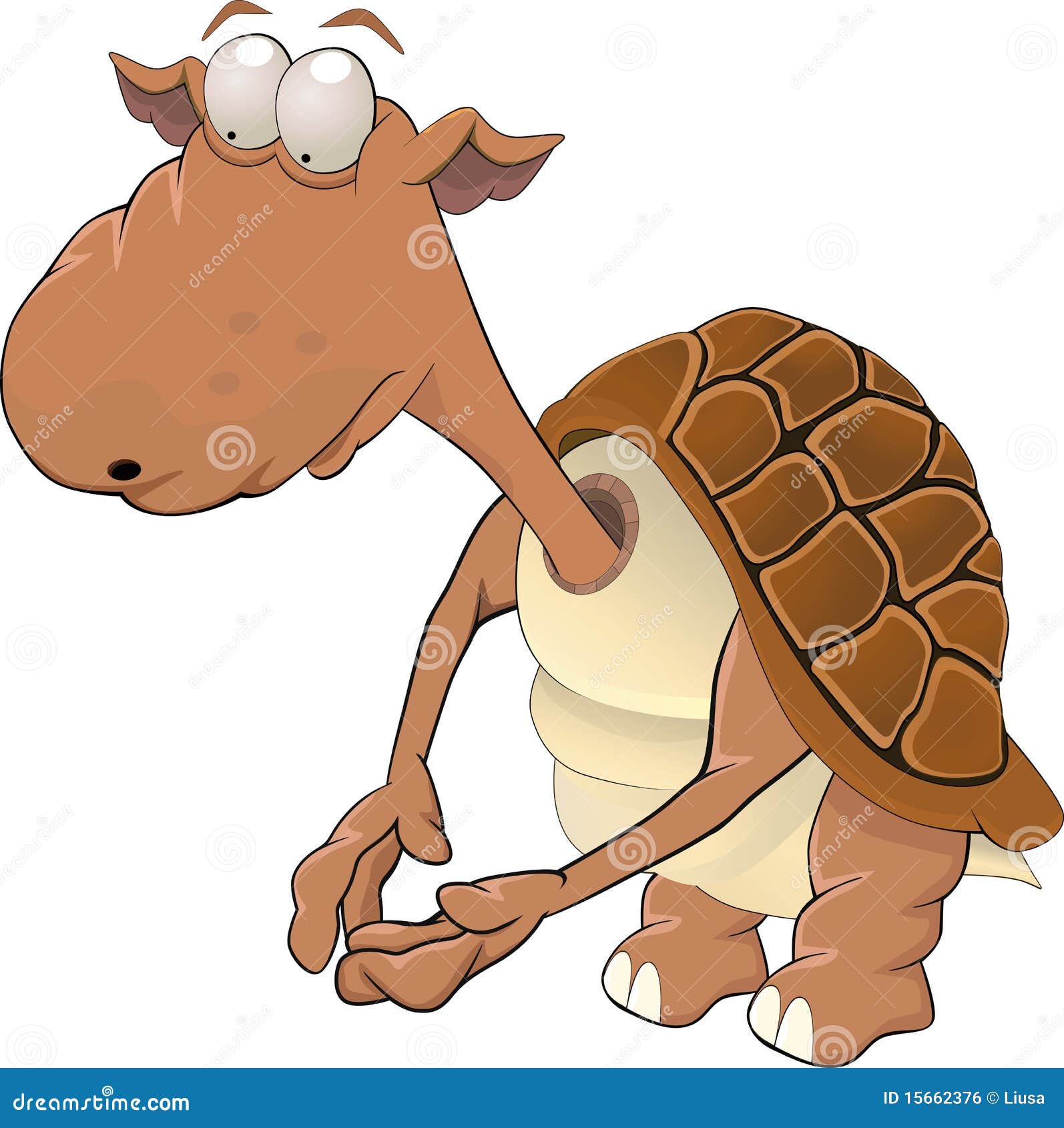 Wisdom Turtle Stock Illustrations – 140 Wisdom Turtle Stock ...