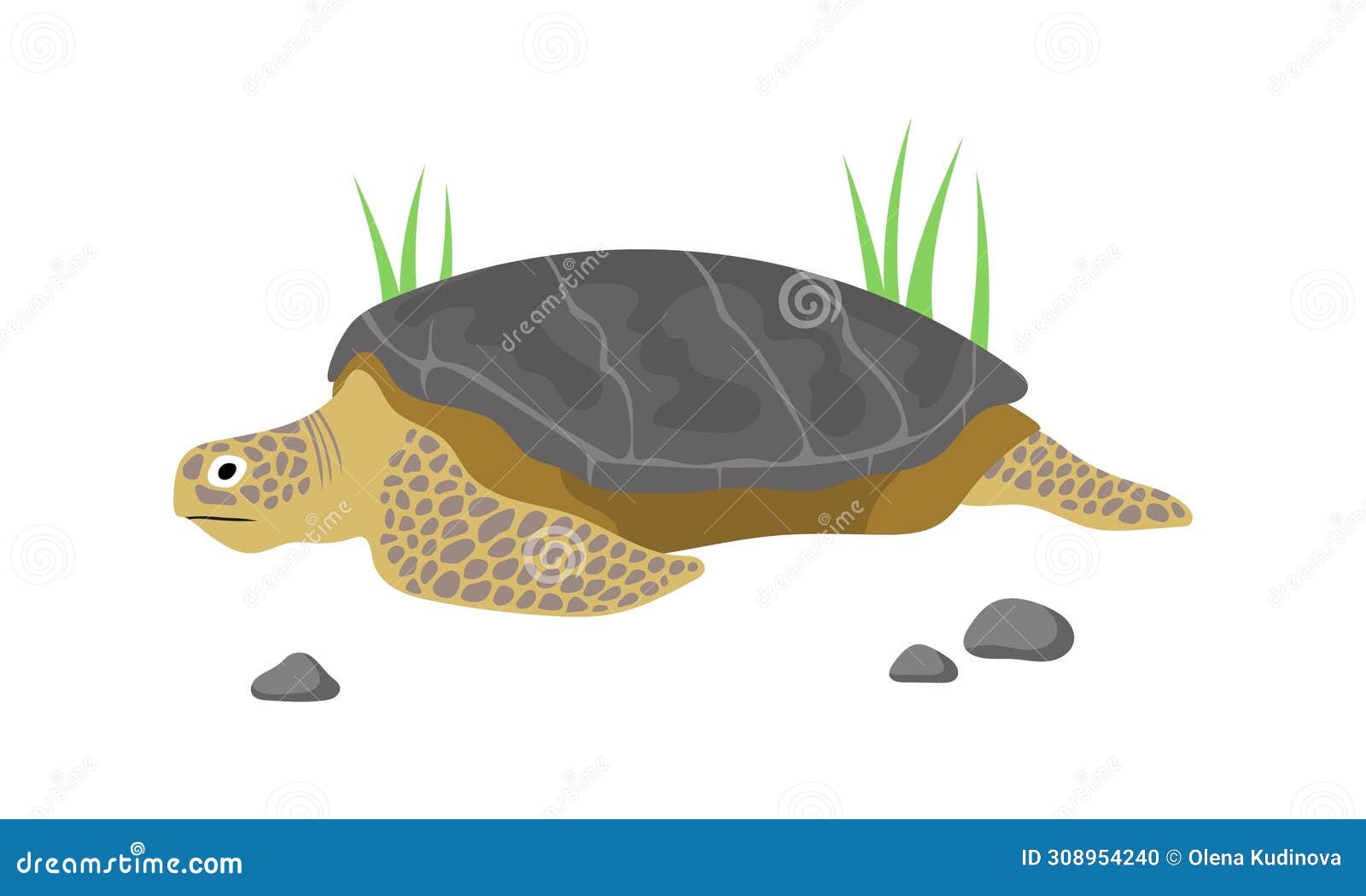 Turtle. Animal. Rare. an Endangered Species Stock Vector - Illustration ...