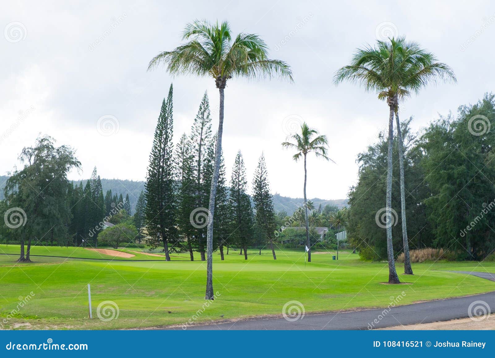 Turtle Bay Golf Course stock image. Image of beach, color - 108416521