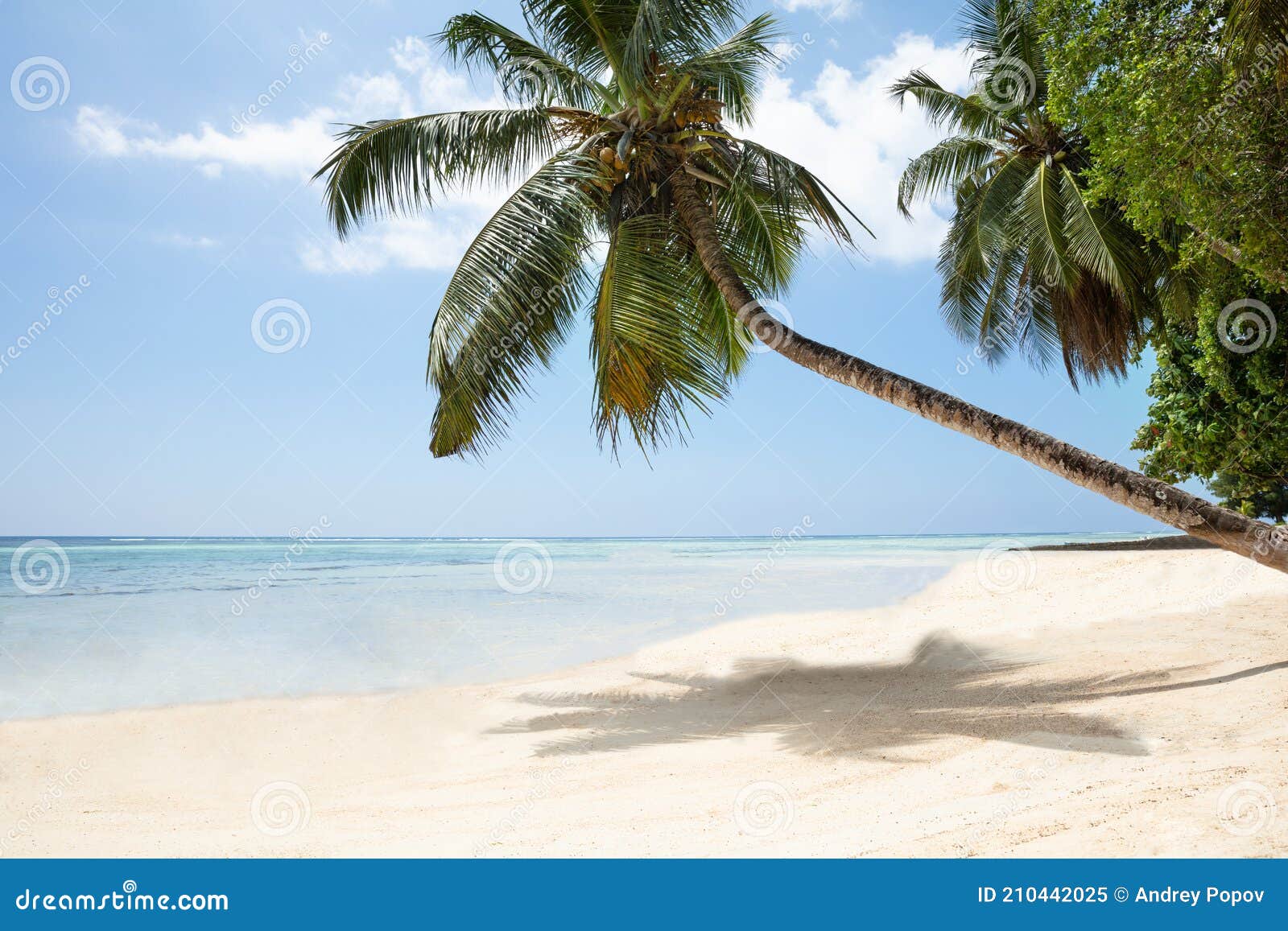 Turtle Bay, Mahe Island, Seychelles Stock Image - Image of beach, sand ...