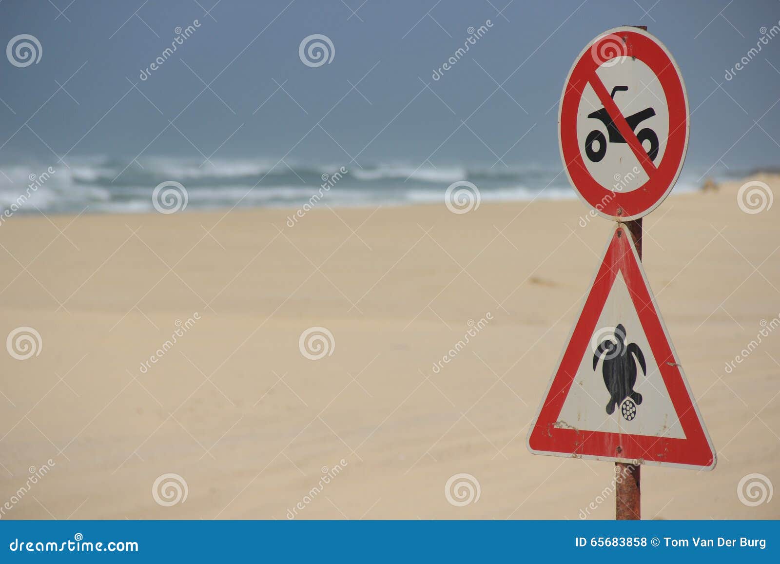 Turtle beach no quads stock photo. Image of quads, verde - 65683858