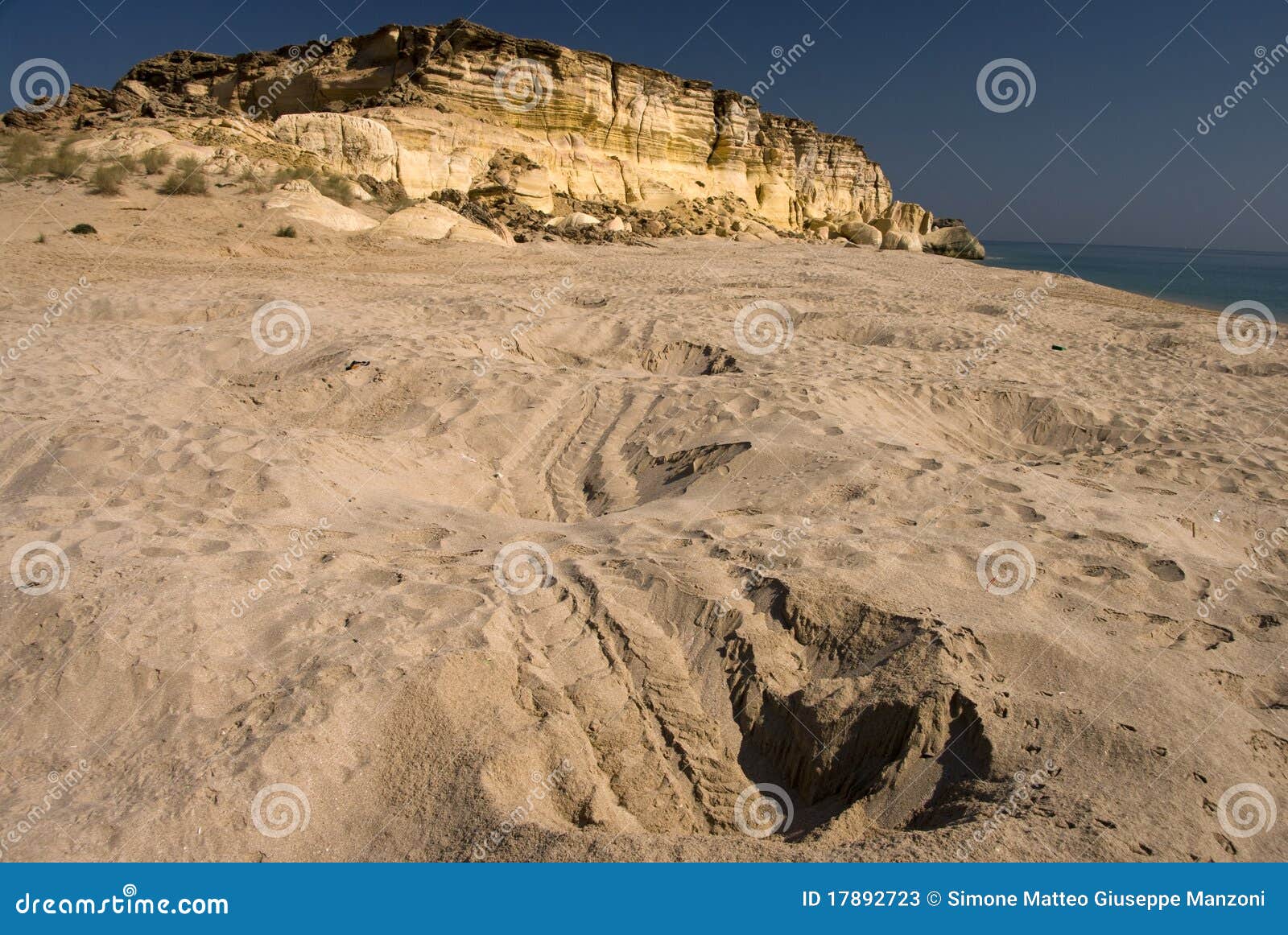 Turtle Beach, Oman stock image. Image of gulf, sandy - 17892723