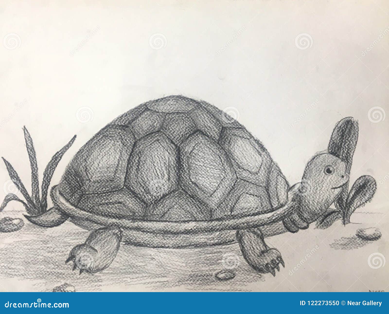 Turtle stock illustration. Illustration of drawing, turtle - 122273550