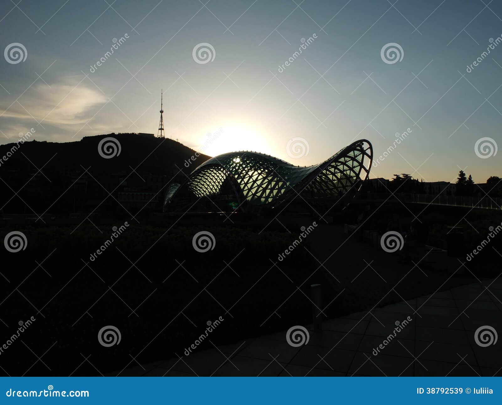 Turtle Bridge Editorial Image | CartoonDealer.com #38792874