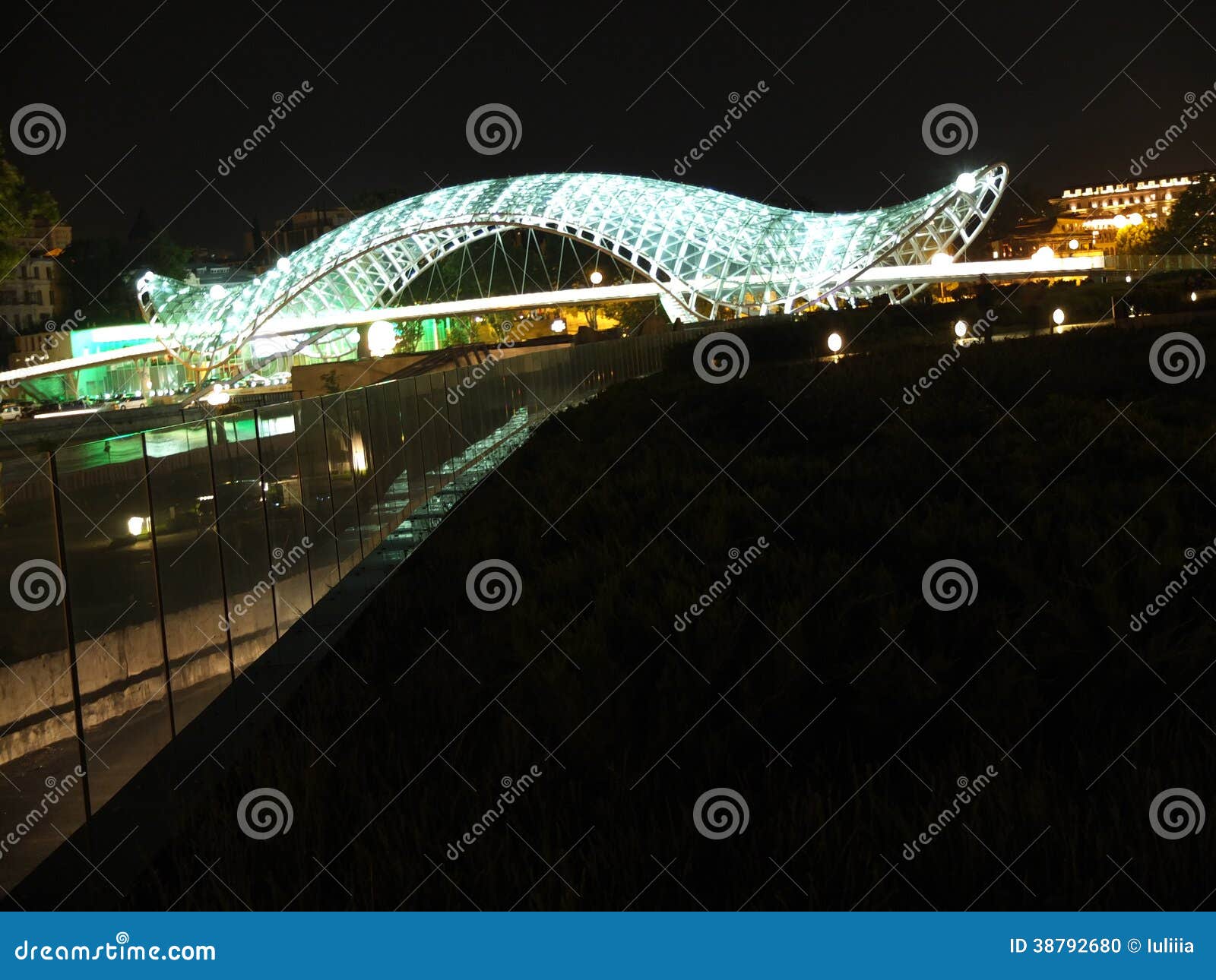 Turtle bridge editorial image. Image of walk, technology - 38792680