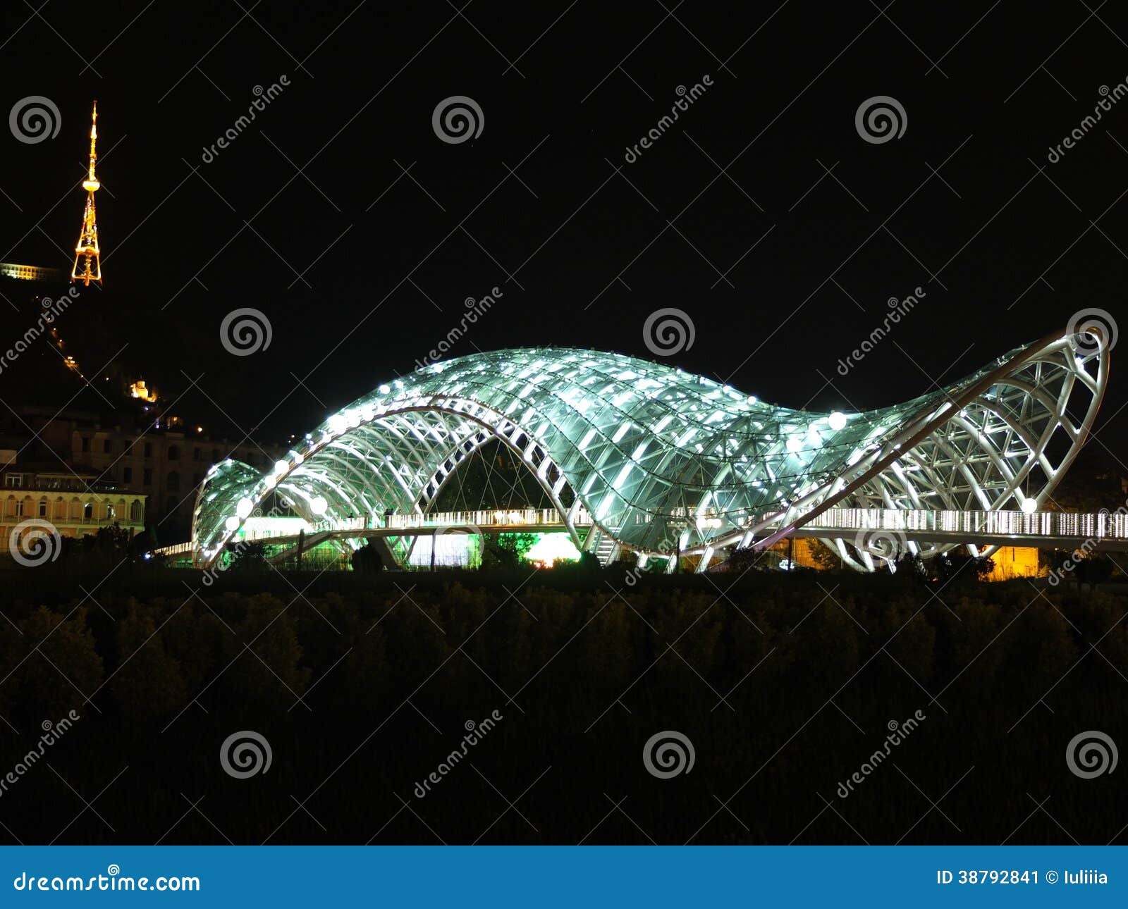 Turtle bridge editorial photo. Image of tbilisi, unique - 38792841