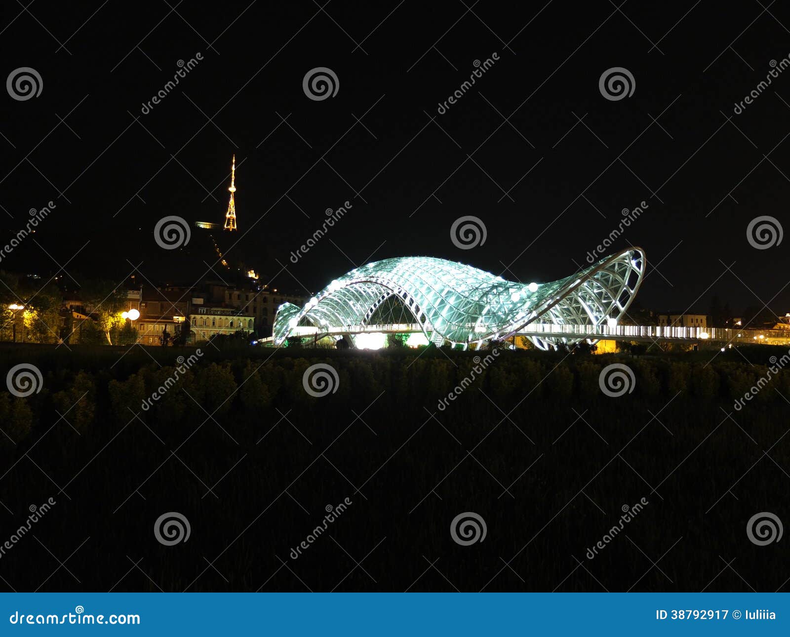 Turtle bridge editorial photography. Image of wavy, bend - 38792917