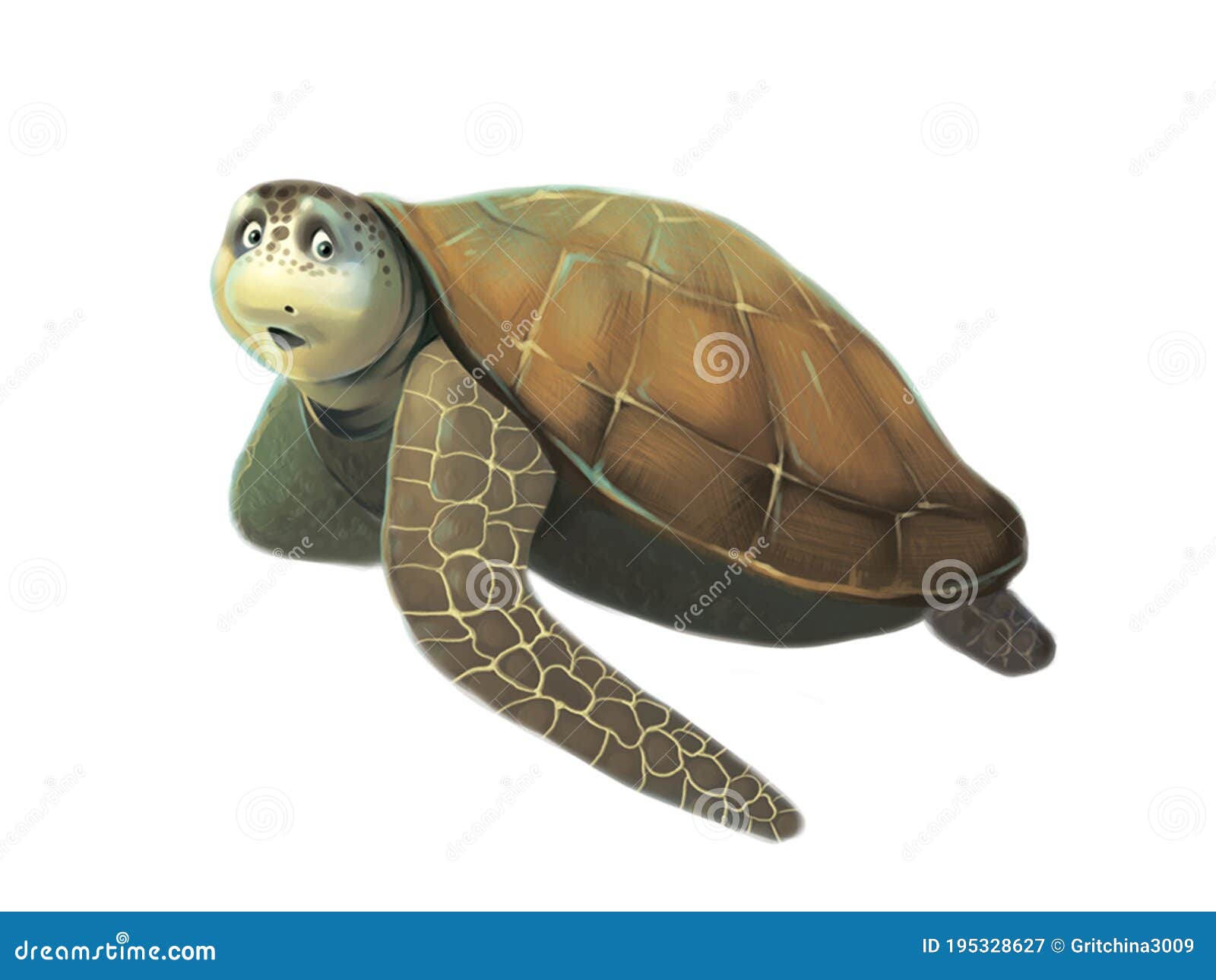 A turtle in a brown shell stock illustration. Illustration of exotic ...