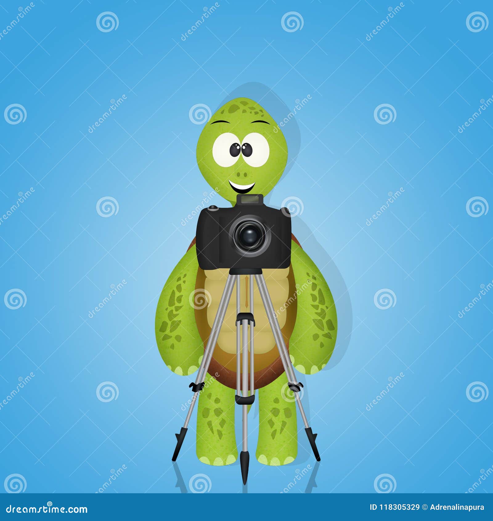 Turtle with Camera on Tripod Stock Illustration - Illustration of ...