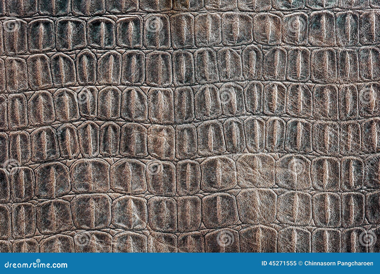 Turtle Carapace Background Shell Texture Royalty-Free Stock Image ...