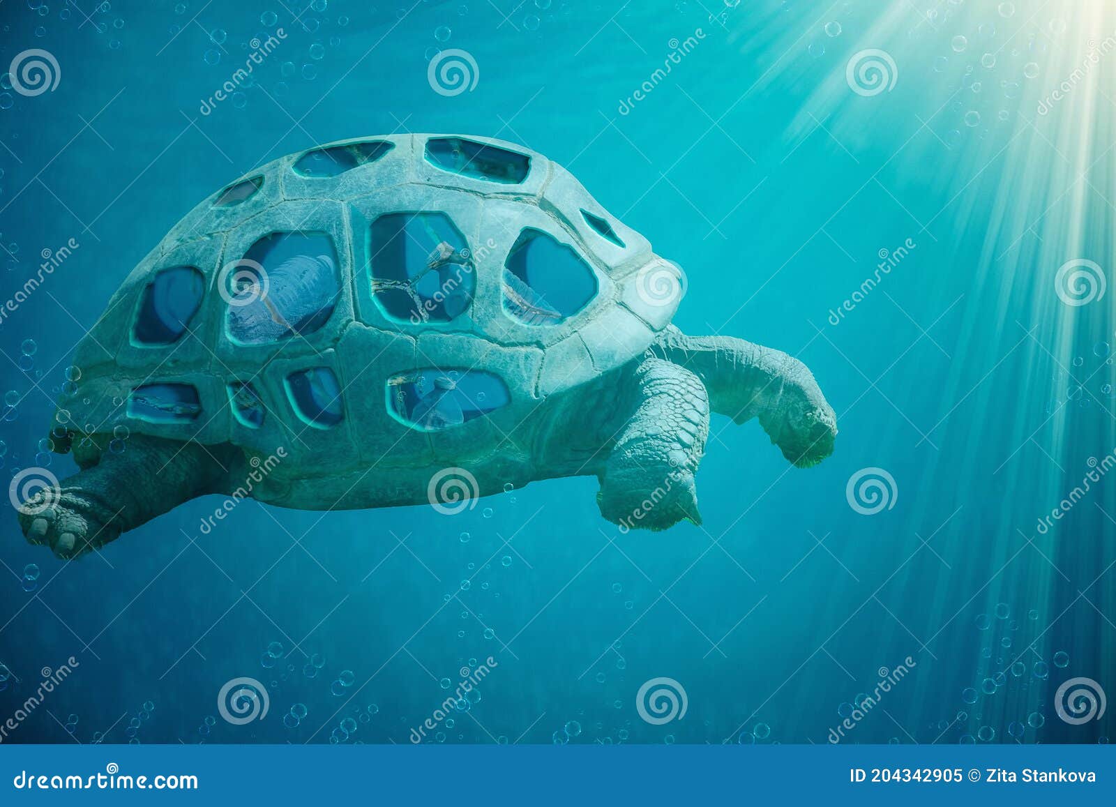 Turtle Carrying Plastic Bottle in Its Shell Stock Image - Image of ...