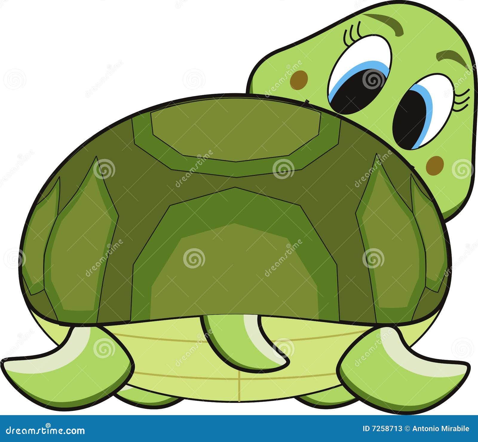 Turtle Cartoon | CartoonDealer.com #7258713