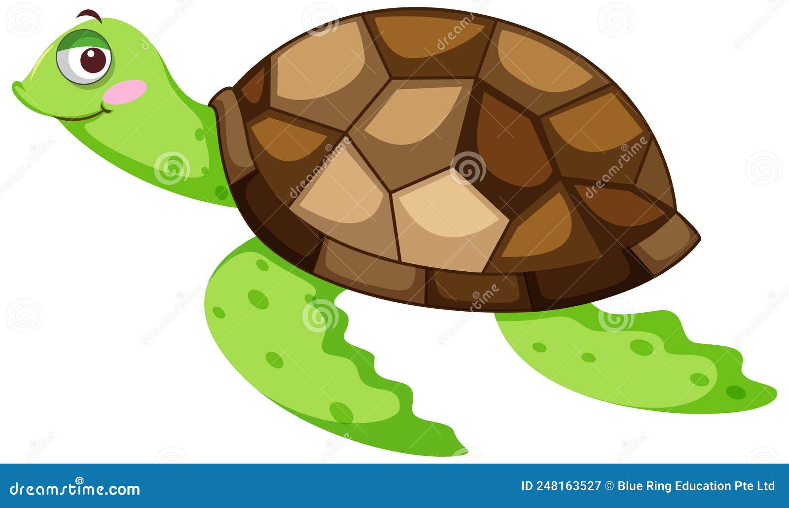 A Turtle in Cartoon Character Stock Vector - Illustration of nature ...