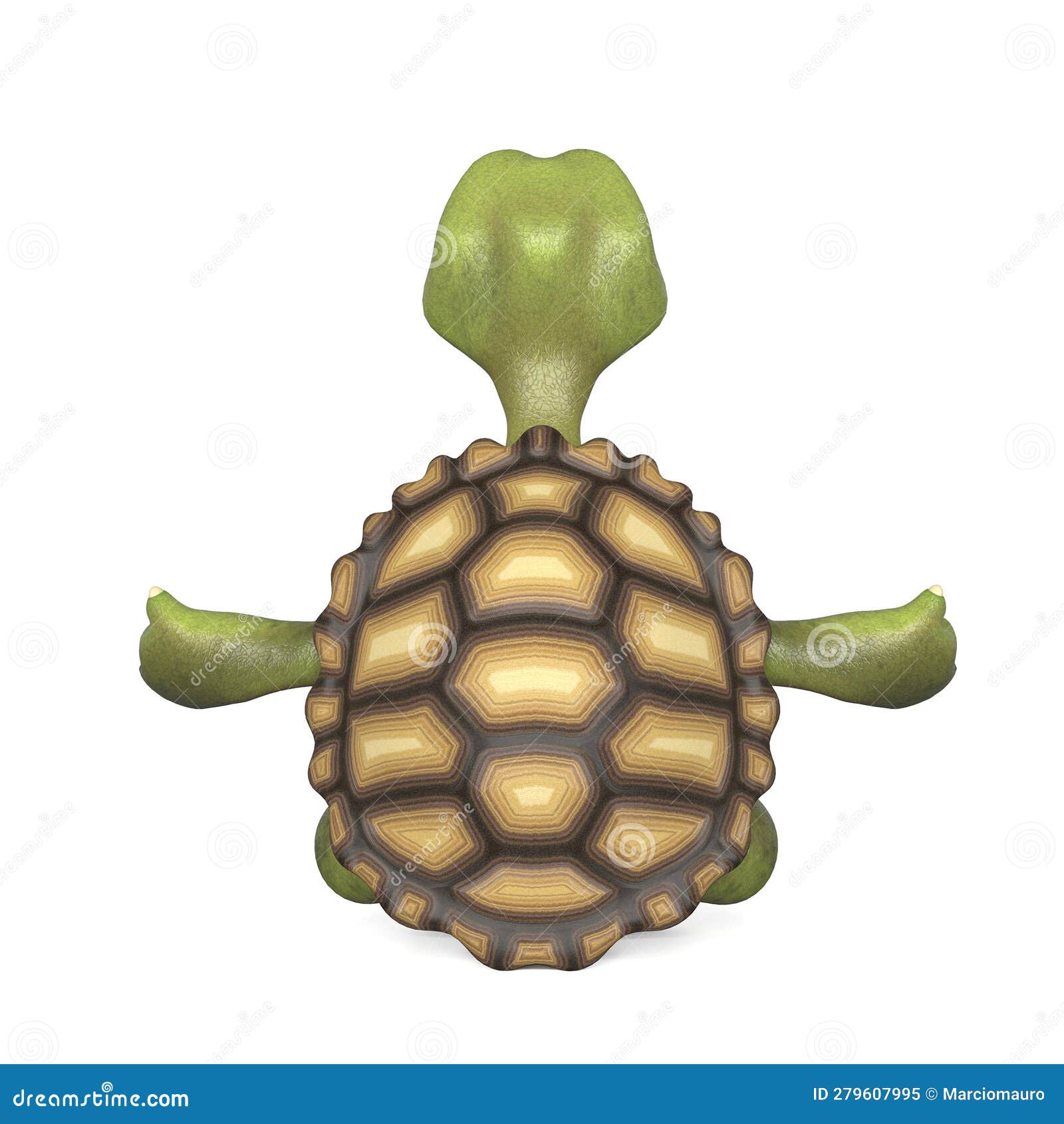 Turtle Cartoon Doing Yoga Rear View Stock Illustration - Illustration ...