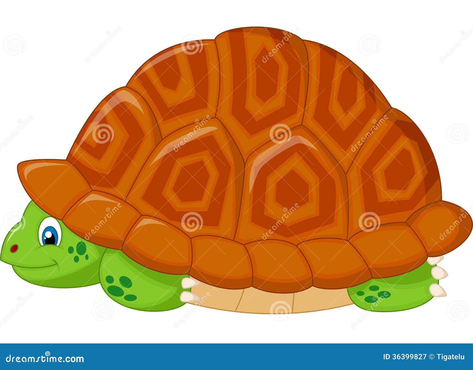Turtle Cartoon Hiding in His Shell Stock Vector - Illustration of cute ...