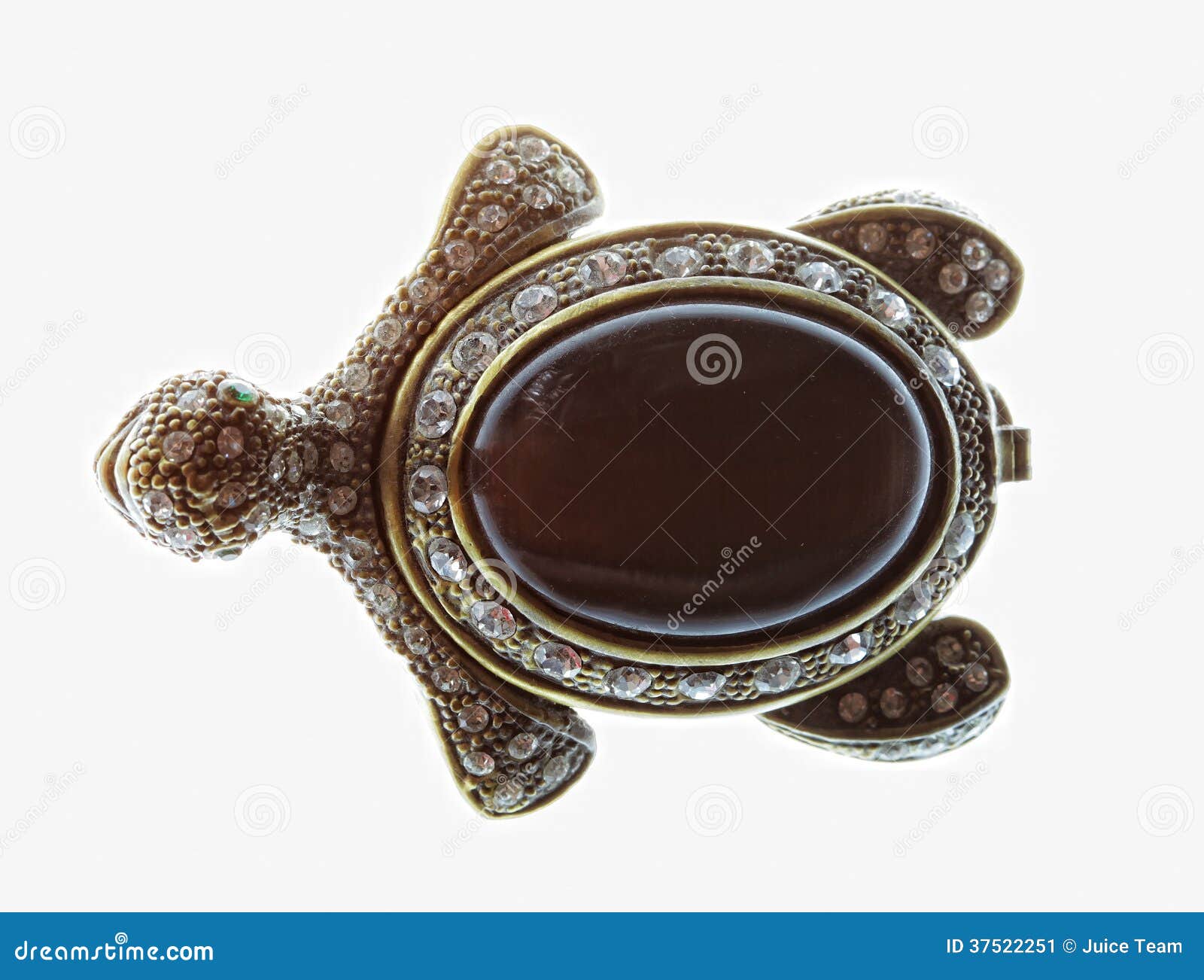 Turtle casket stock image. Image of medallion, luxury - 37522251