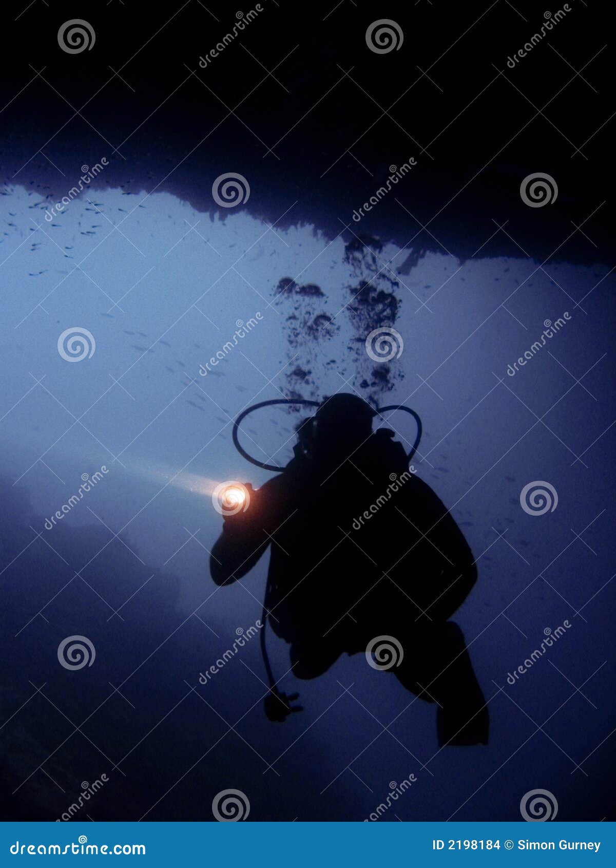 Turtle Cave Scuba Diver Sipadan Stock Photo - Image of beneath ...