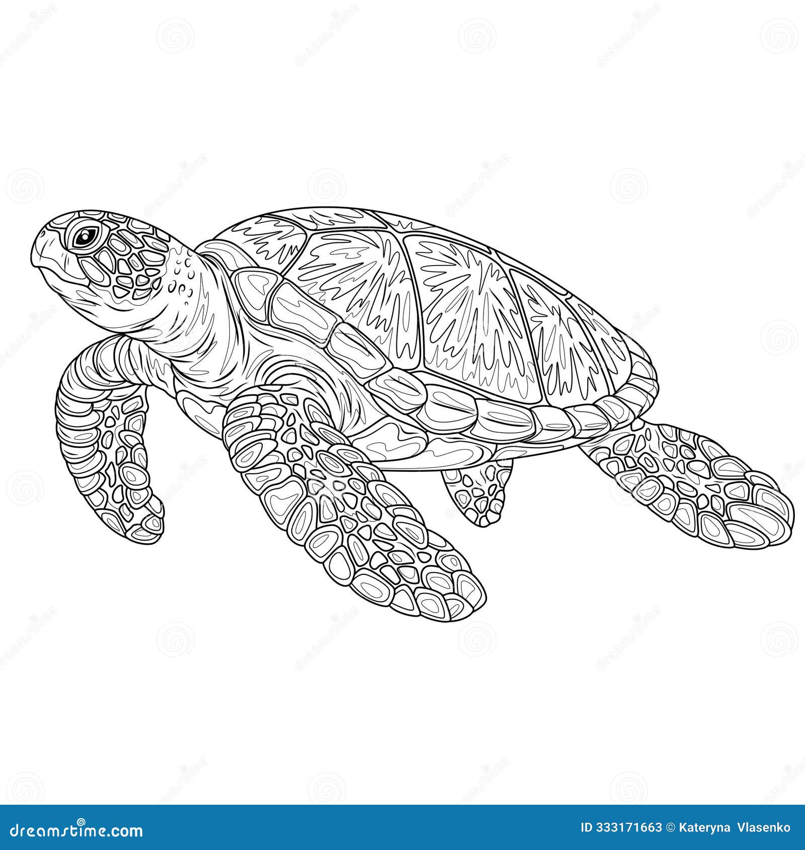Sea Turtle - Antistress Coloring Page. Swimming Sea Turtle - Vector ...