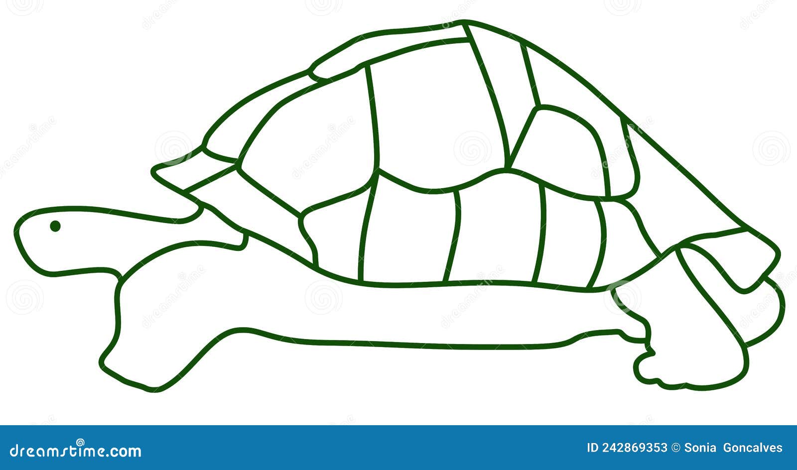 Big Turtle - Contour Drawing, Coloring Page Cartoon Vector ...