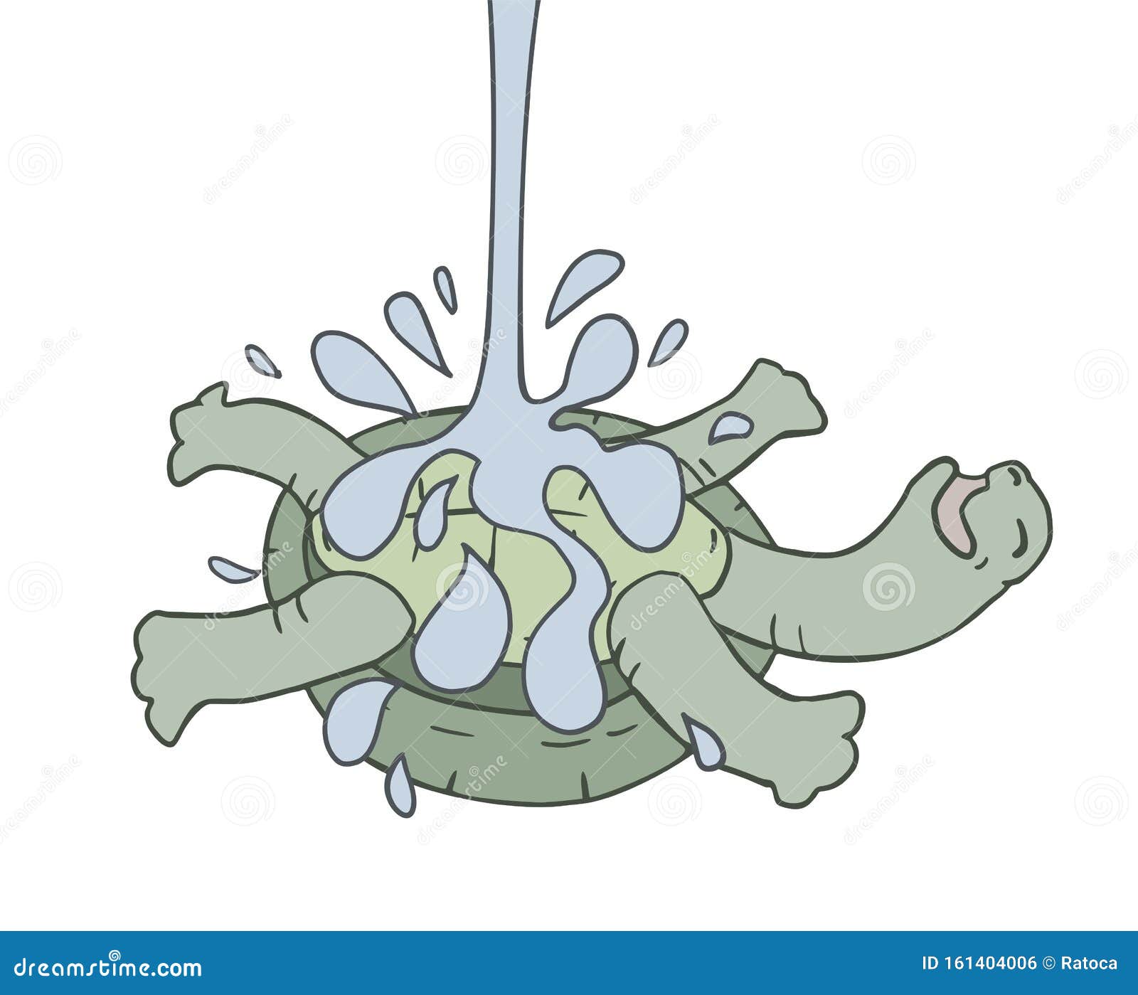 Turtle cooling in water stock vector. Illustration of tropical - 161404006