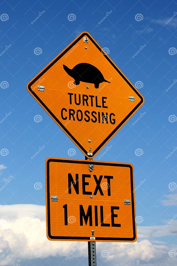 Turtle Crossing Sign stock image. Image of outdoor, country - 22631259