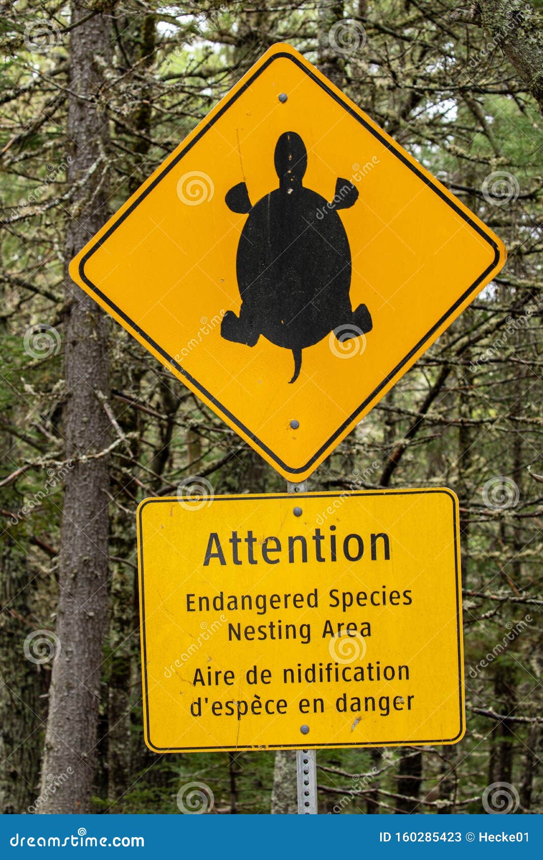 Turtle Crossing Sign in Nova Scotia Canada Stock Image - Image of ...