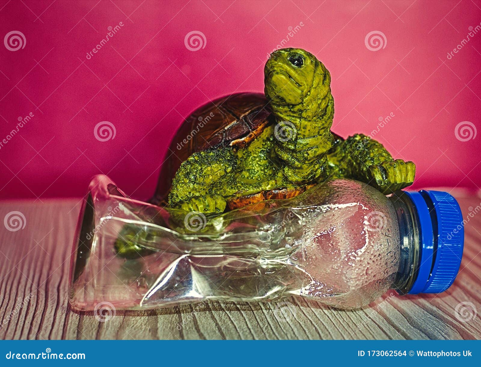 Turtle Crushing a Plastic Single Use Bottle Climate Change Style Poster ...
